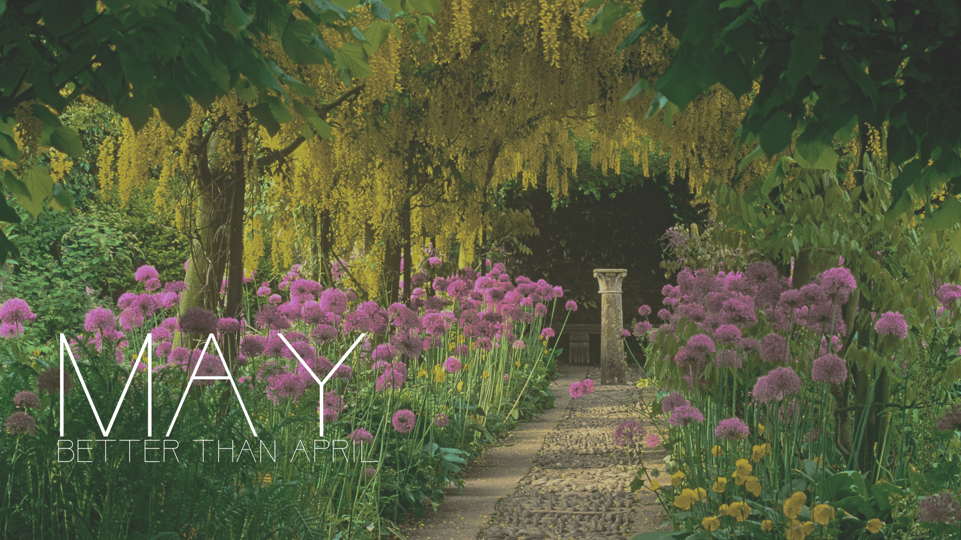 Sarcastic Wallpapers - Top Free Sarcastic Backgrounds - WallpaperAccess