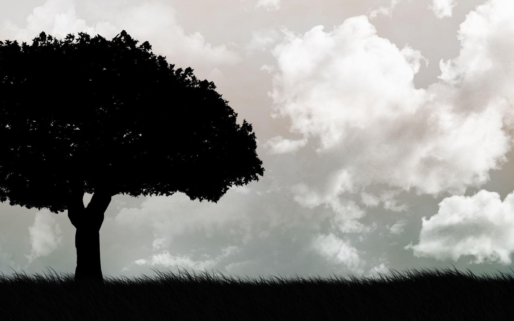 Black Tree Wallpapers - Top Free Black Tree Backgrounds - WallpaperAccess