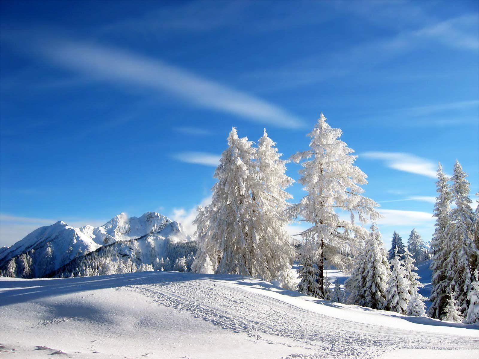 Christmas Landscape Wallpapers - Top Free Christmas Landscape ...