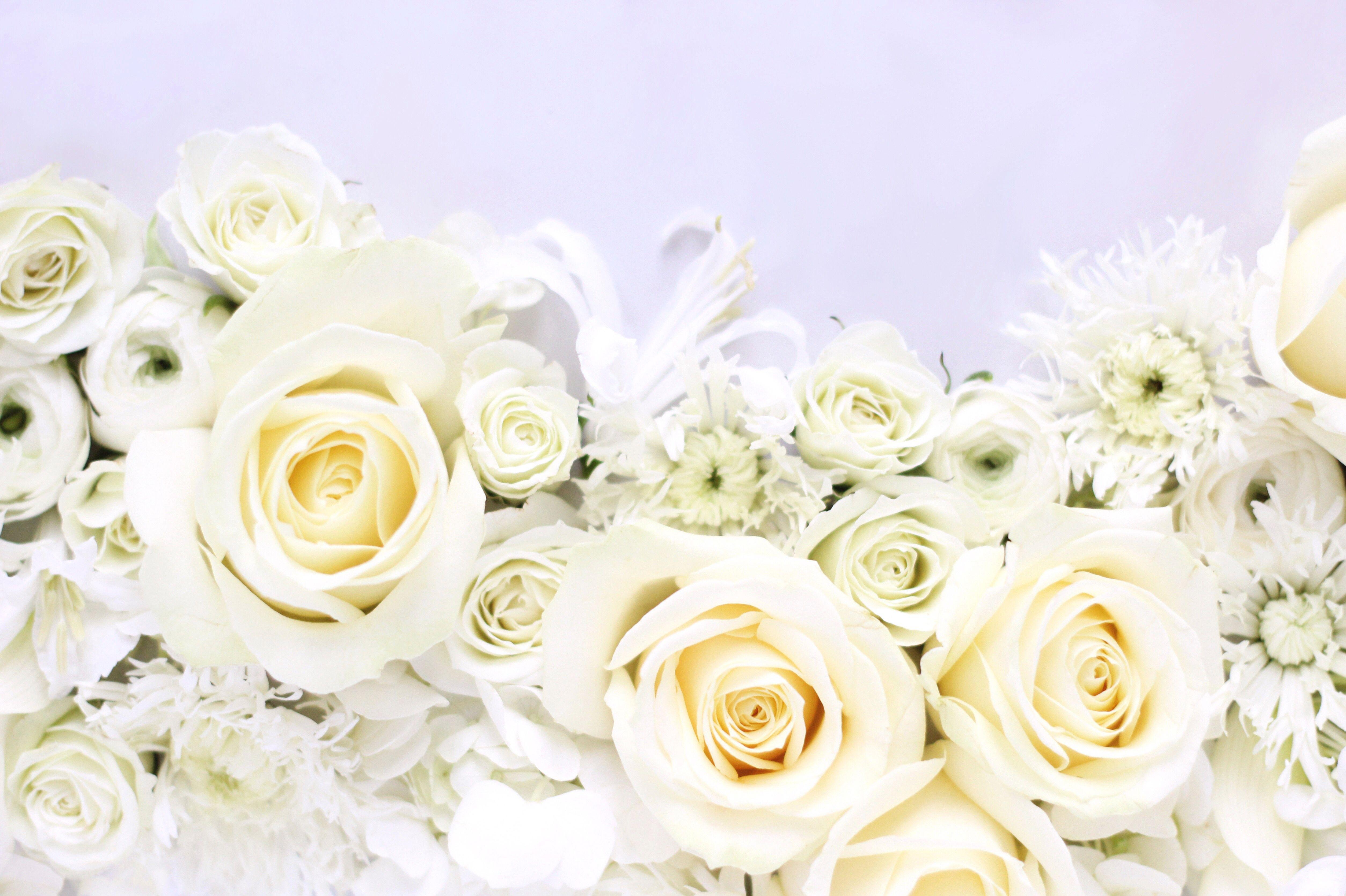 White Digital Wallpapers - Top Free White Digital Backgrounds ...