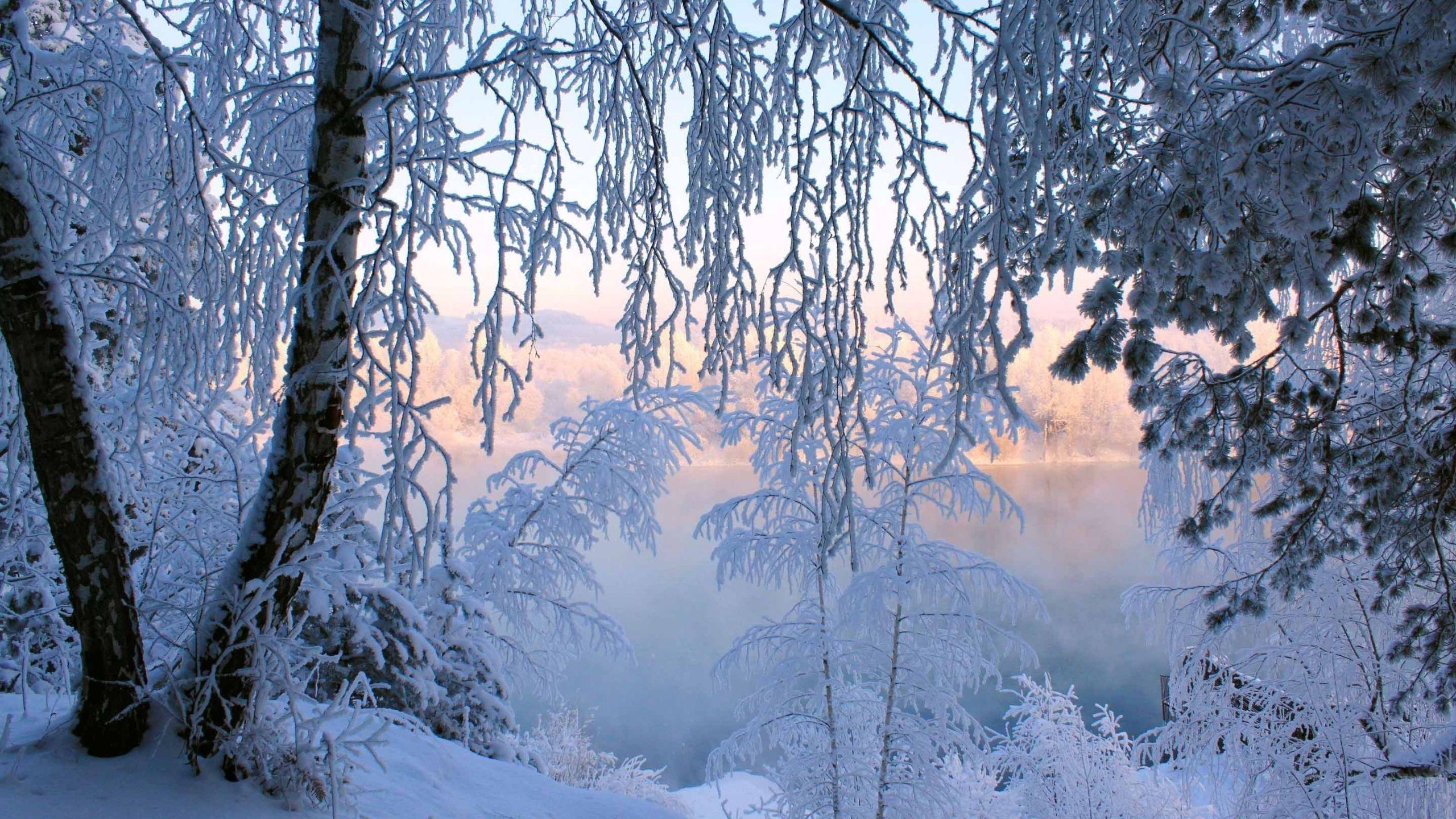 Beautiful Winter Wallpapers - Top Free Beautiful Winter Backgrounds ...