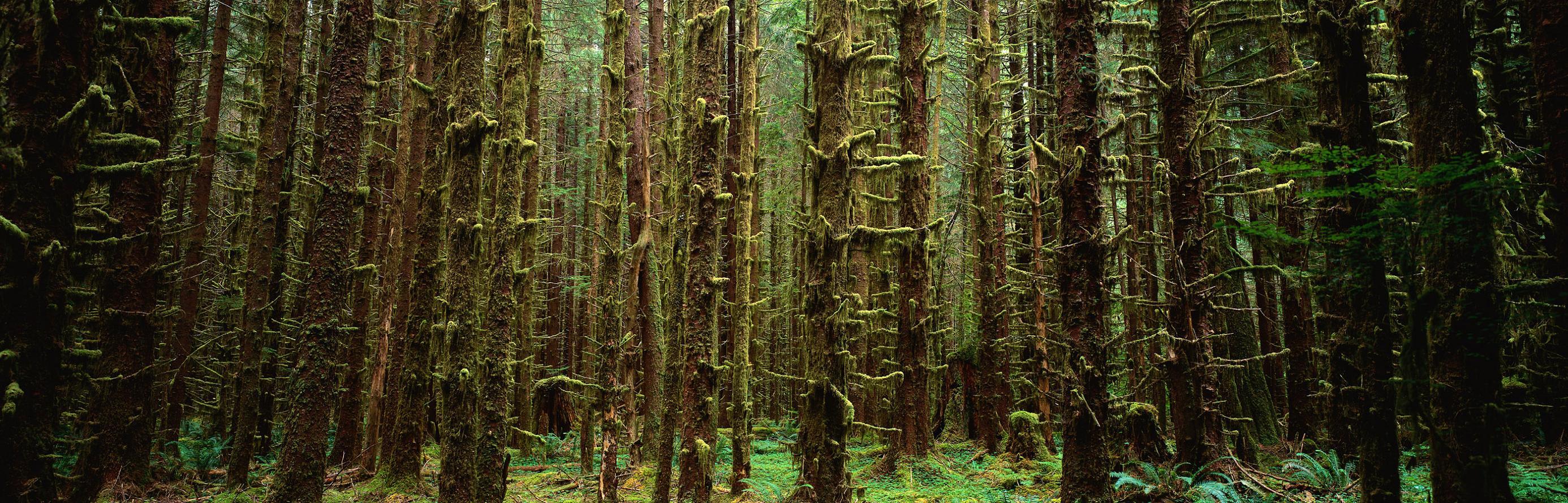 Dual Screen Landscape Wallpapers - Top Free Dual Screen Landscape ...