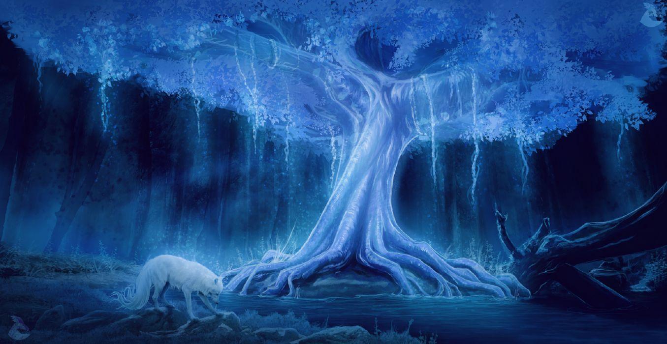 Water Wolf Wallpapers - Top Free Water Wolf Backgrounds - WallpaperAccess