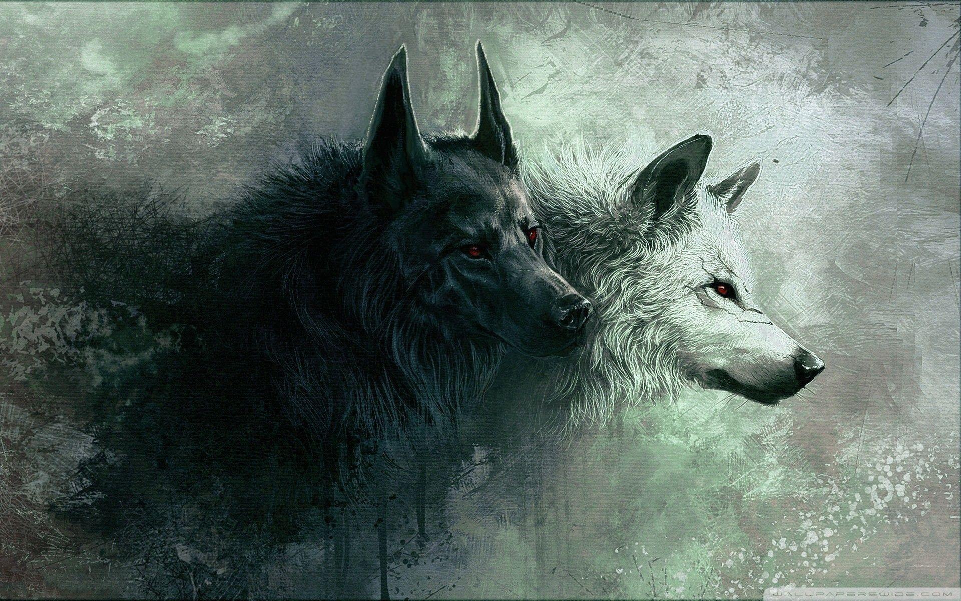 Silver Wolf Wallpapers - Top Free Silver Wolf Backgrounds - WallpaperAccess