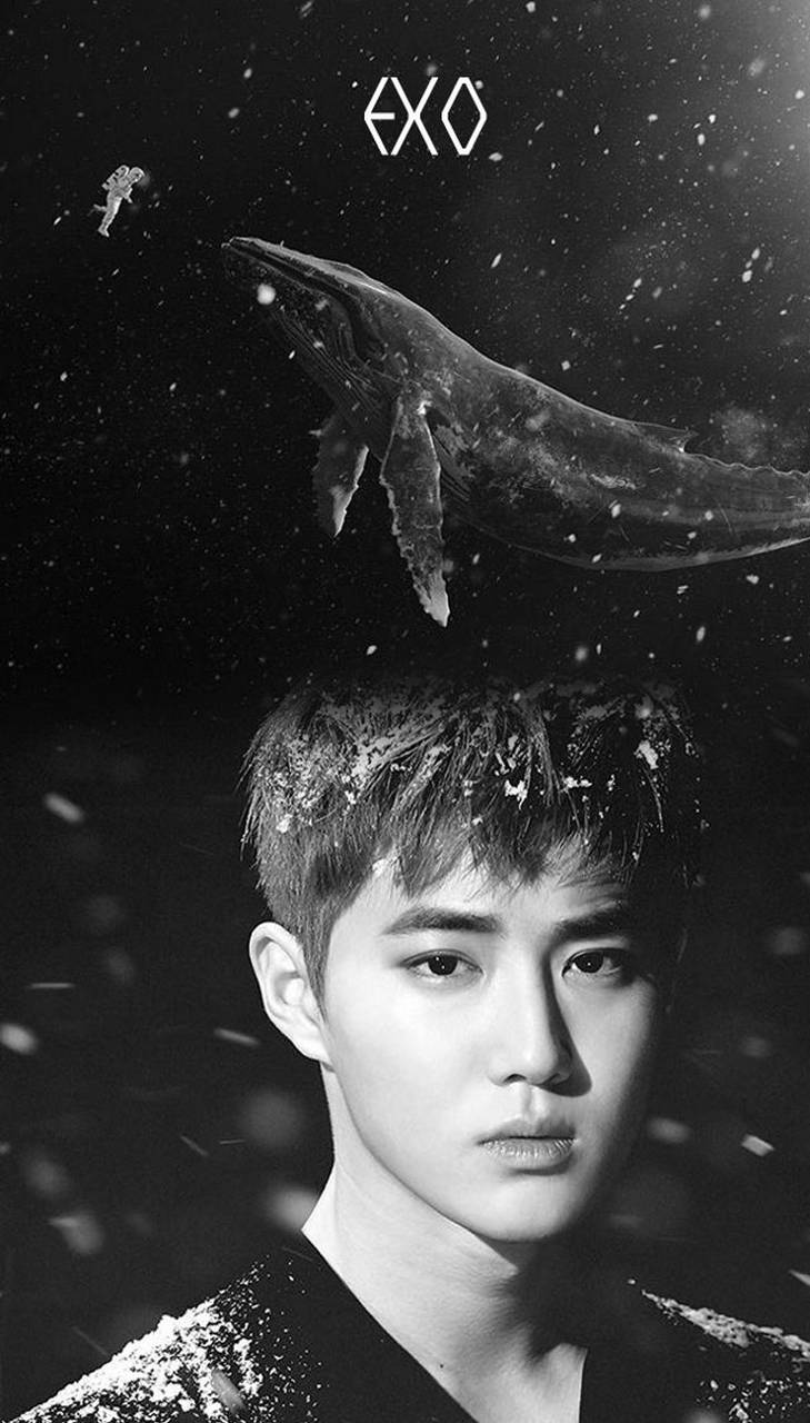 Suho Wallpapers - Top Free Suho Backgrounds - WallpaperAccess