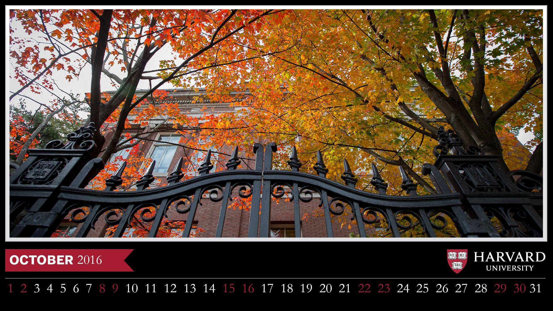Harvard Wallpapers - Top Free Harvard Backgrounds - WallpaperAccess