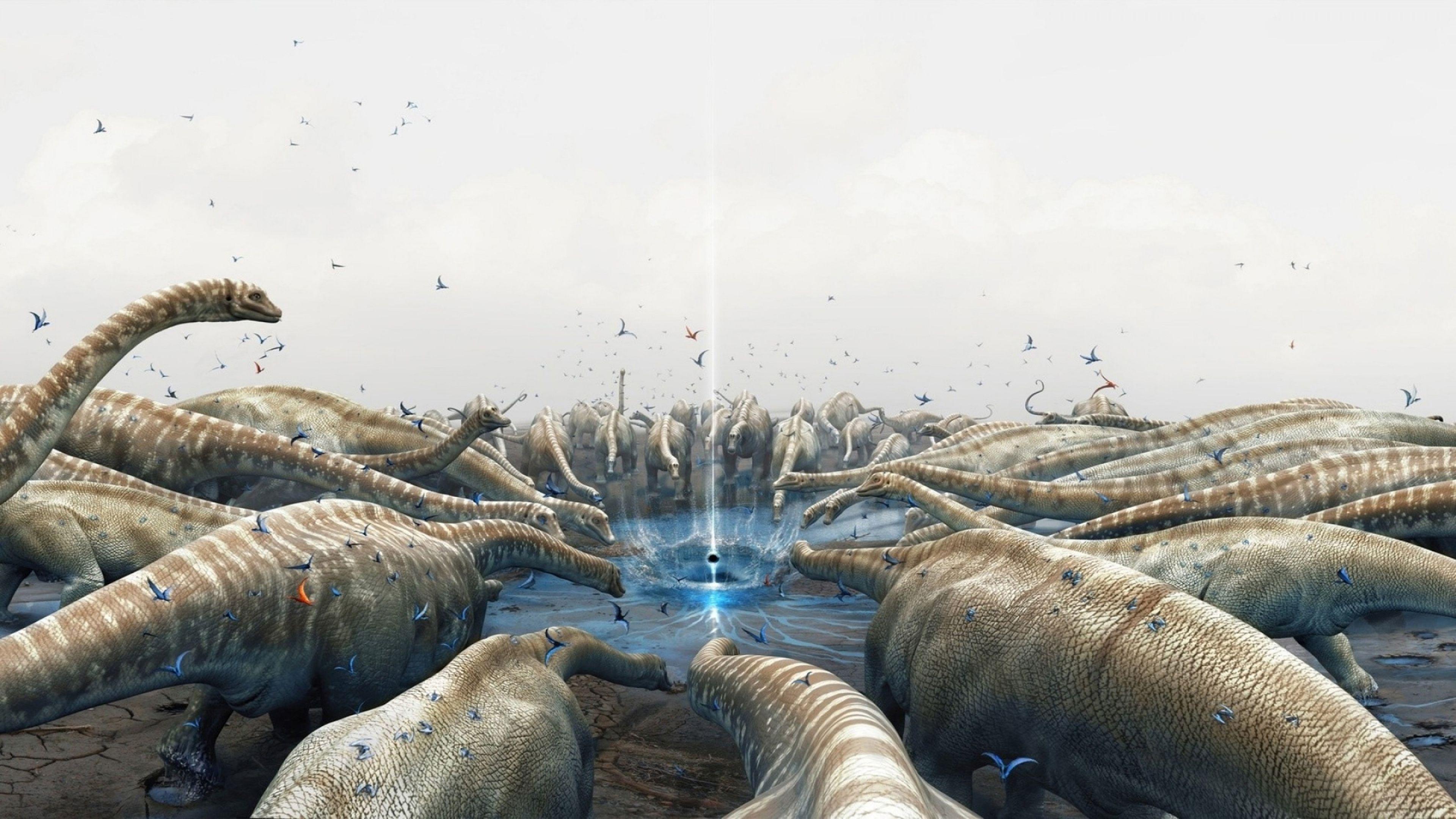 Fossil Wallpapers - Top Free Fossil Backgrounds - WallpaperAccess