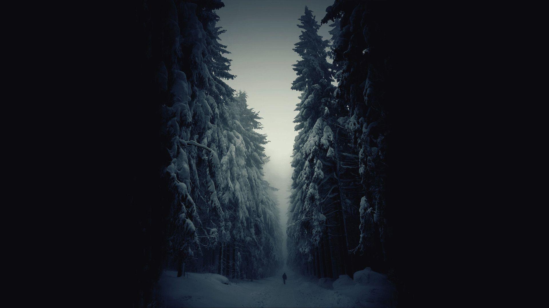 Slenderman Wallpapers - Top Free Slenderman Backgrounds - WallpaperAccess