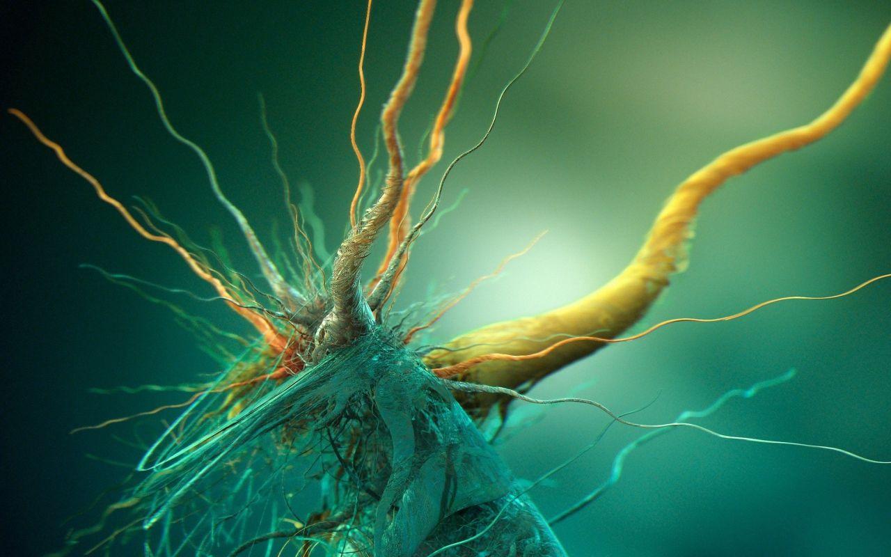 Microscope Wallpapers - Top Free Microscope Backgrounds - WallpaperAccess