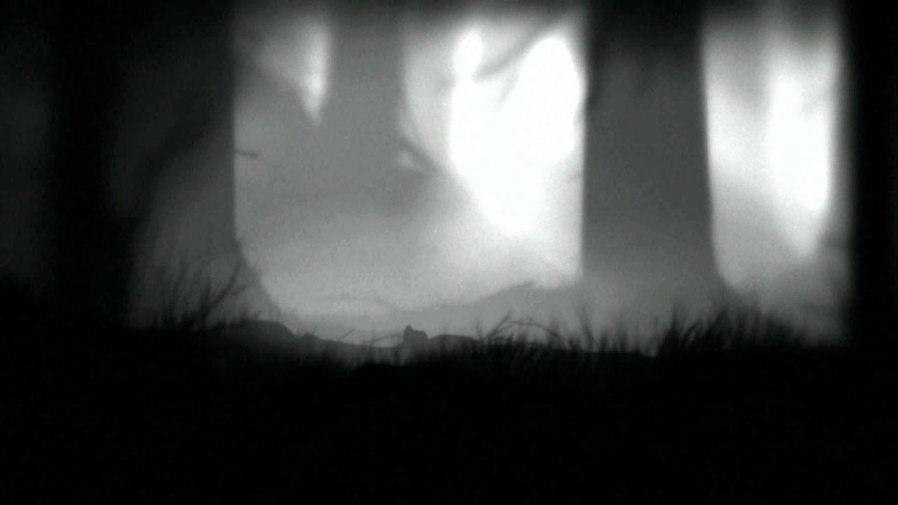 Limbo Wallpapers - Top Free Limbo Backgrounds - WallpaperAccess