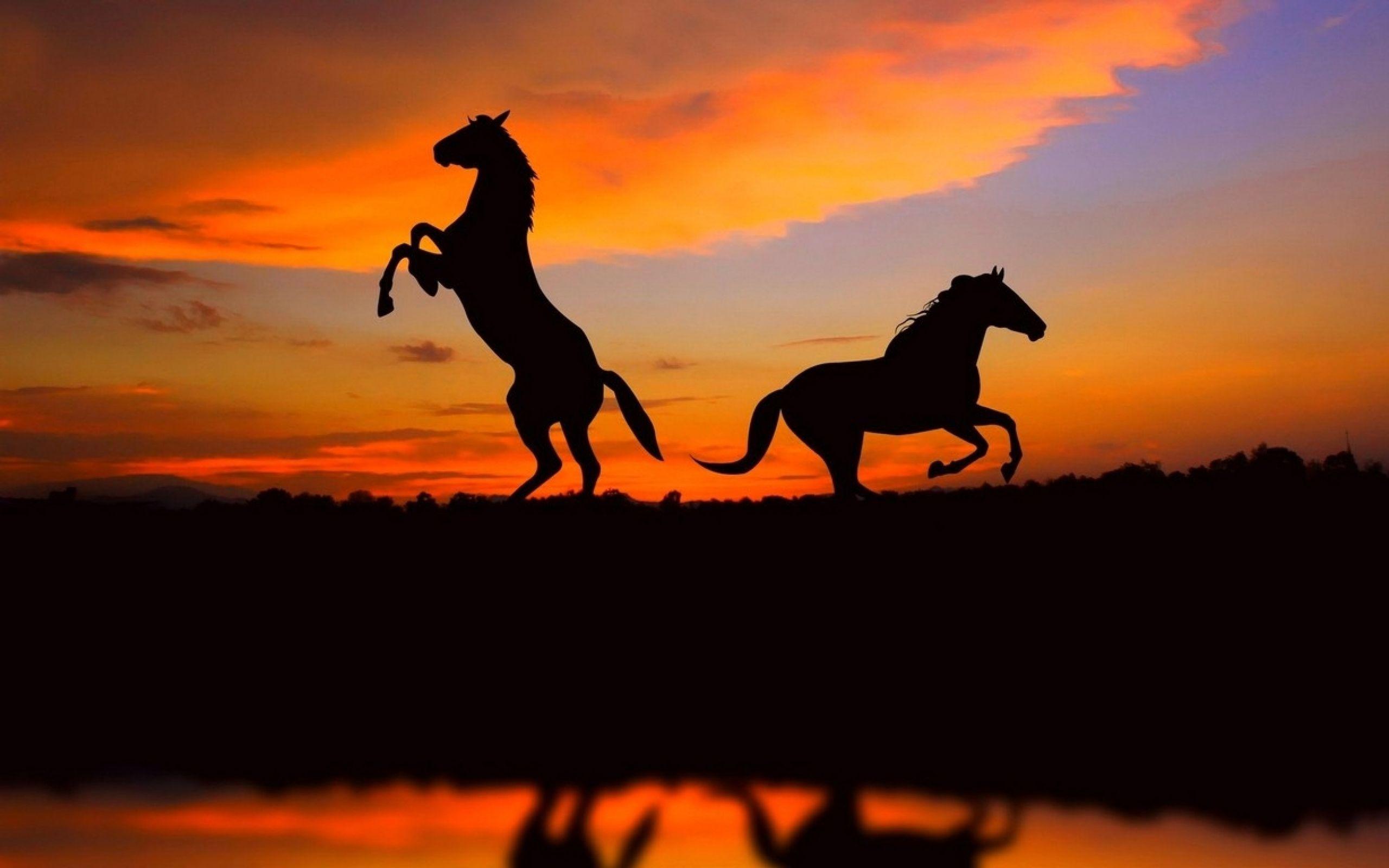 Siluet Wallpapers - Top Free Siluet Backgrounds - WallpaperAccess