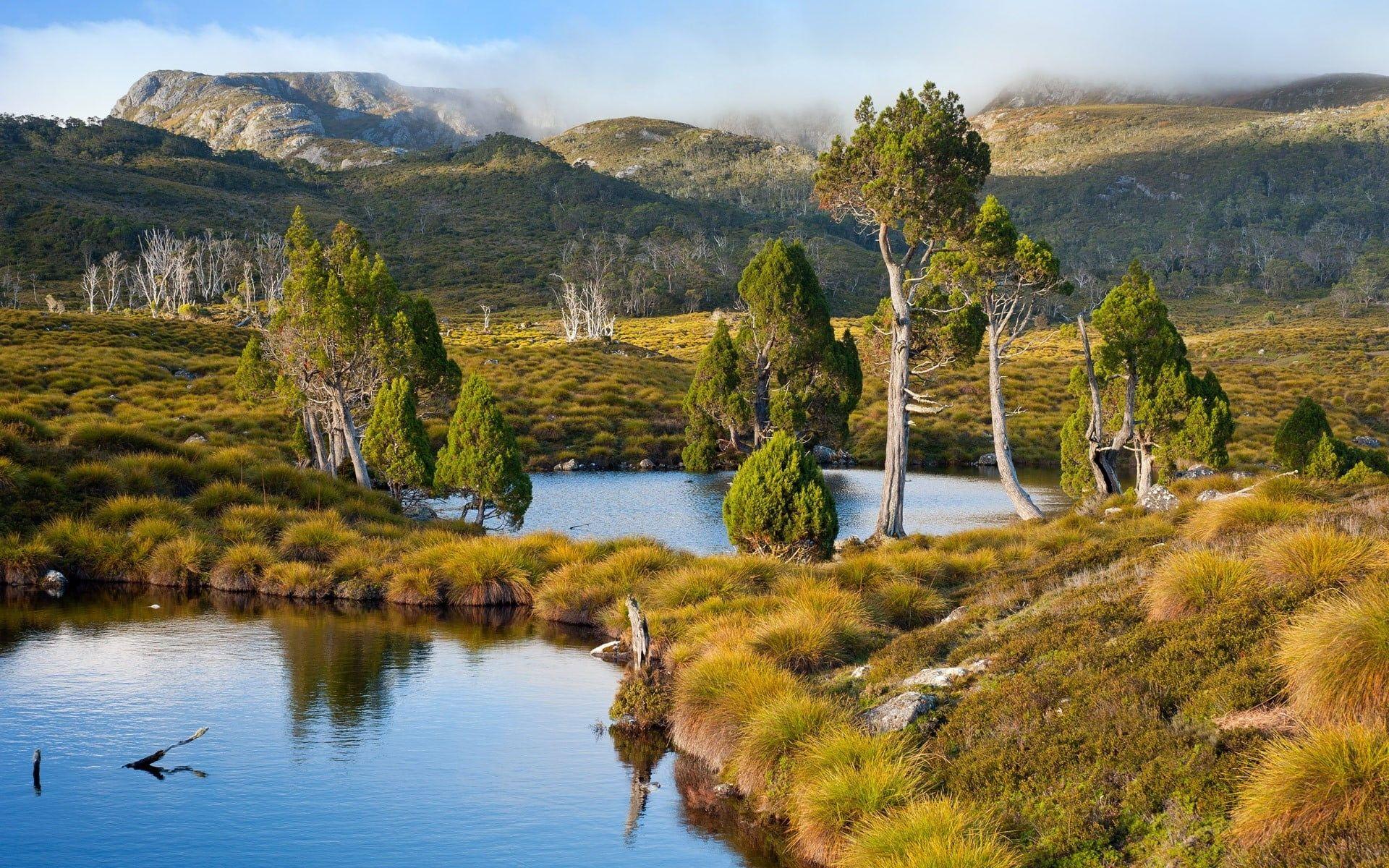 Tasmania Wallpapers - Top Free Tasmania Backgrounds - WallpaperAccess