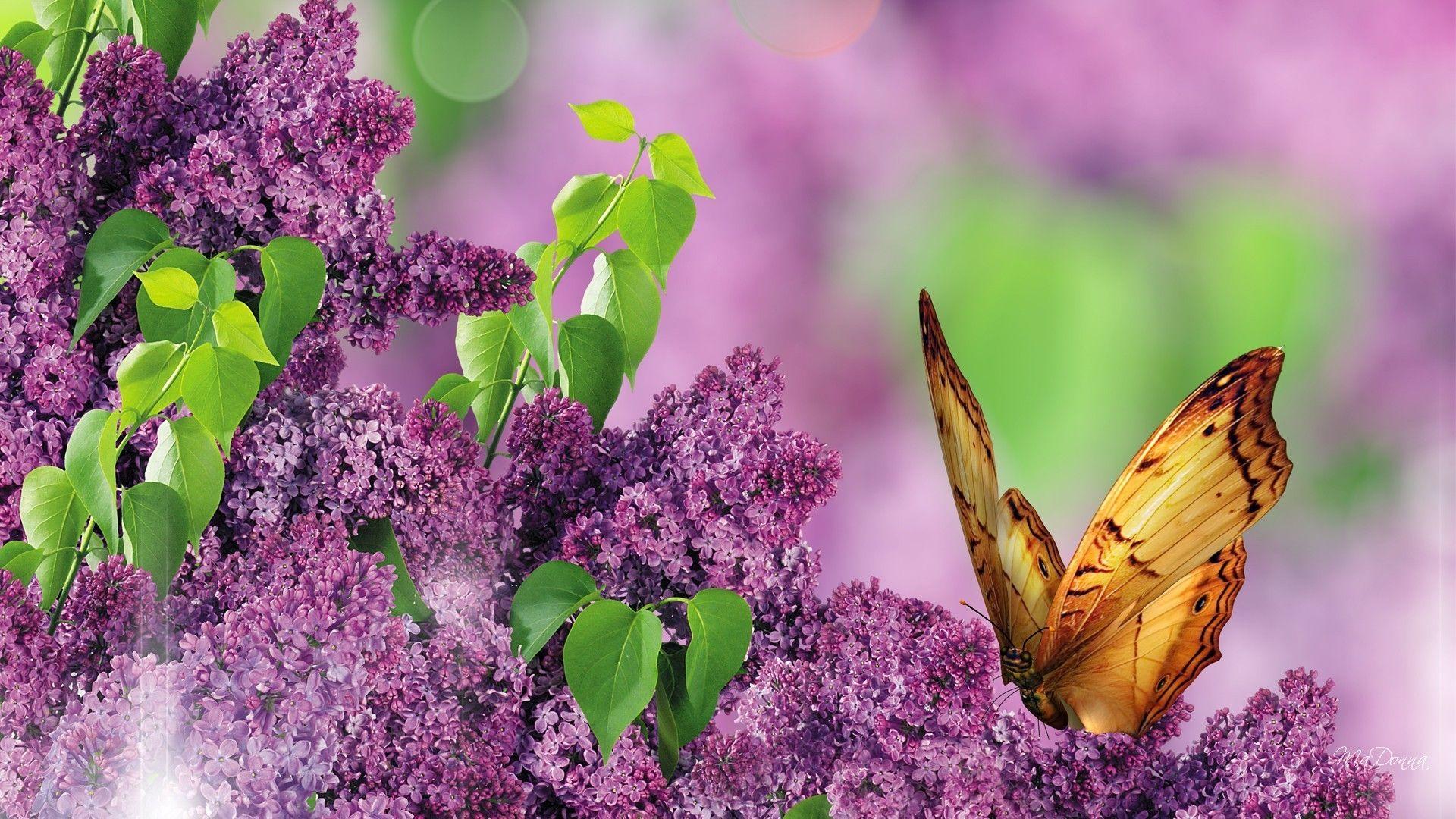 Spring Garden Wallpapers - Top Free Spring Garden Backgrounds ...
