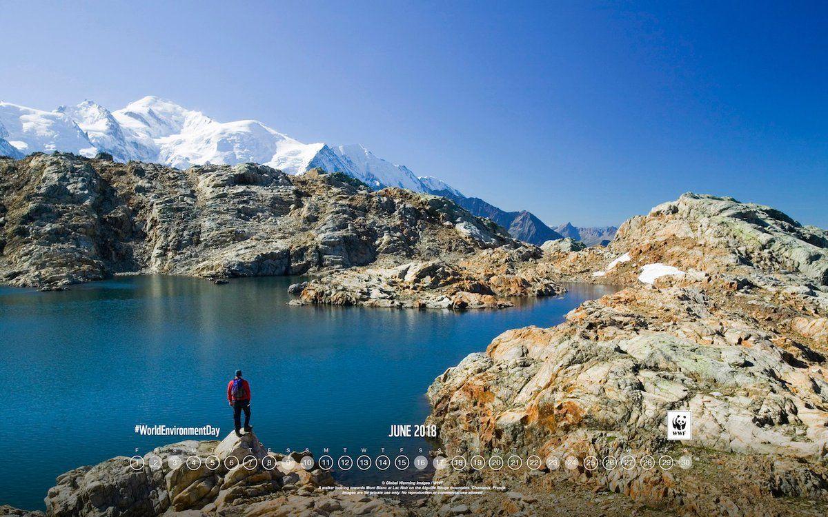 WWF Wallpapers - Top Free WWF Backgrounds - WallpaperAccess