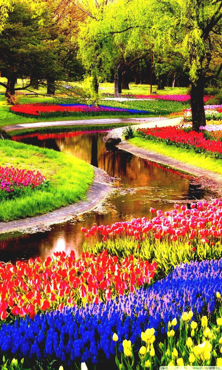 Spring Garden Wallpapers - Top Free Spring Garden Backgrounds ...