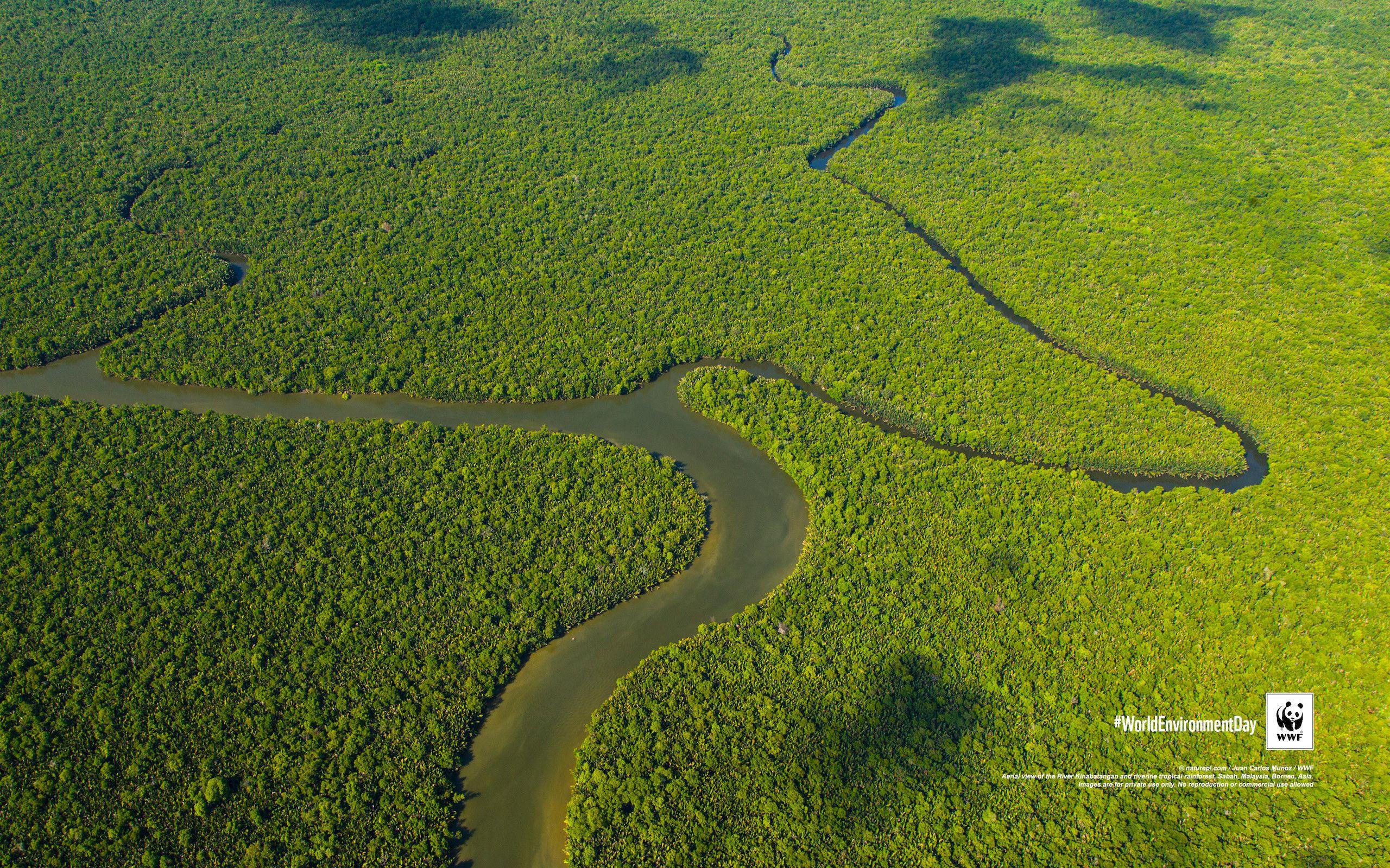 WWF Wallpapers - Top Free WWF Backgrounds - WallpaperAccess