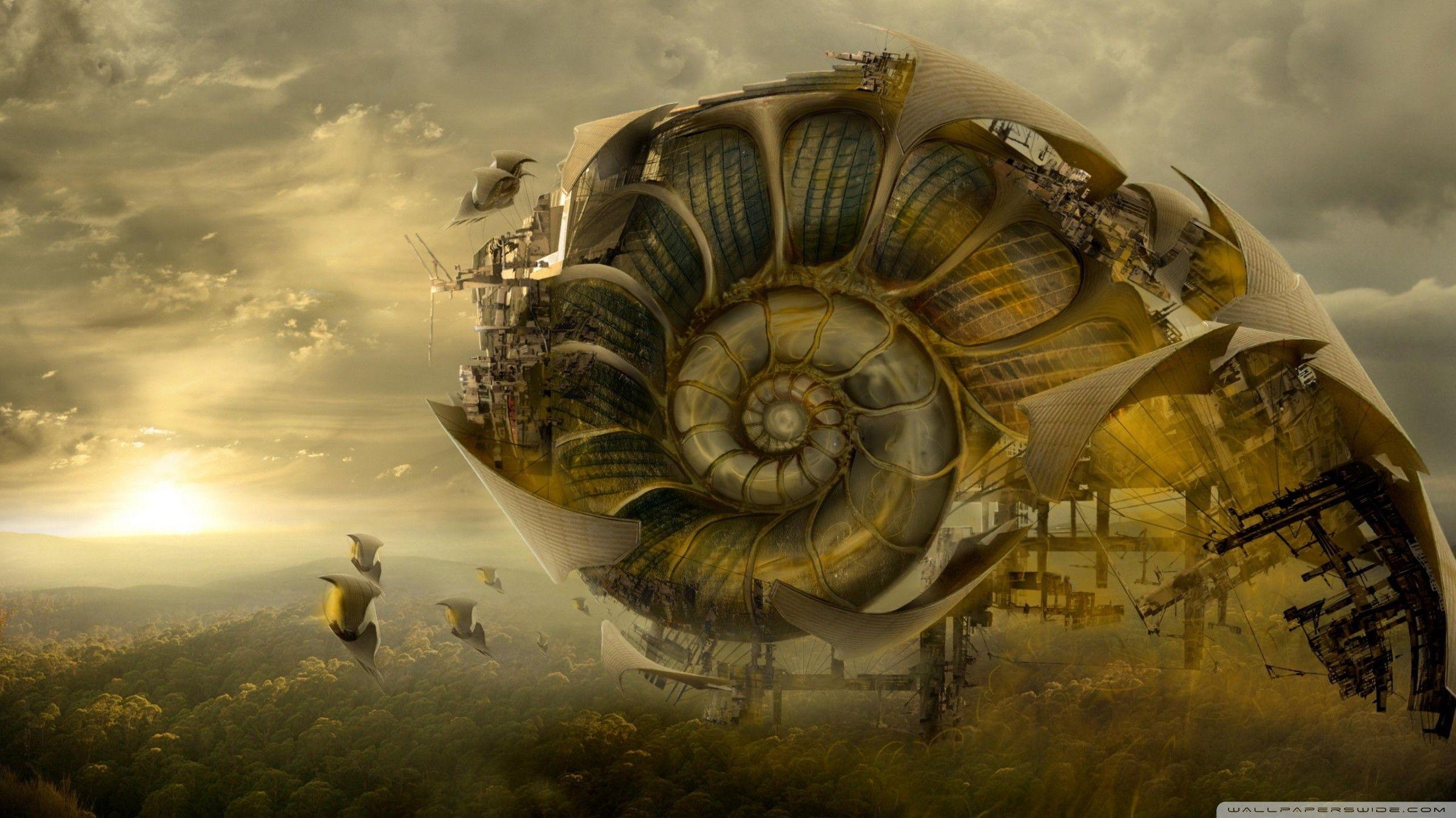 Nautilus Wallpapers - Top Free Nautilus Backgrounds - WallpaperAccess