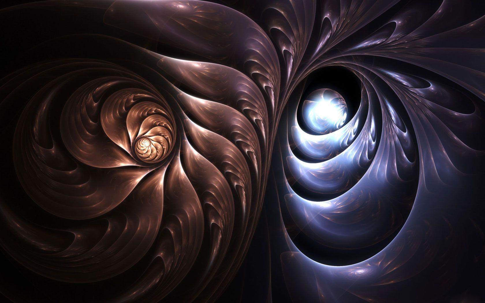 Nautilus Wallpapers - Top Free Nautilus Backgrounds - WallpaperAccess