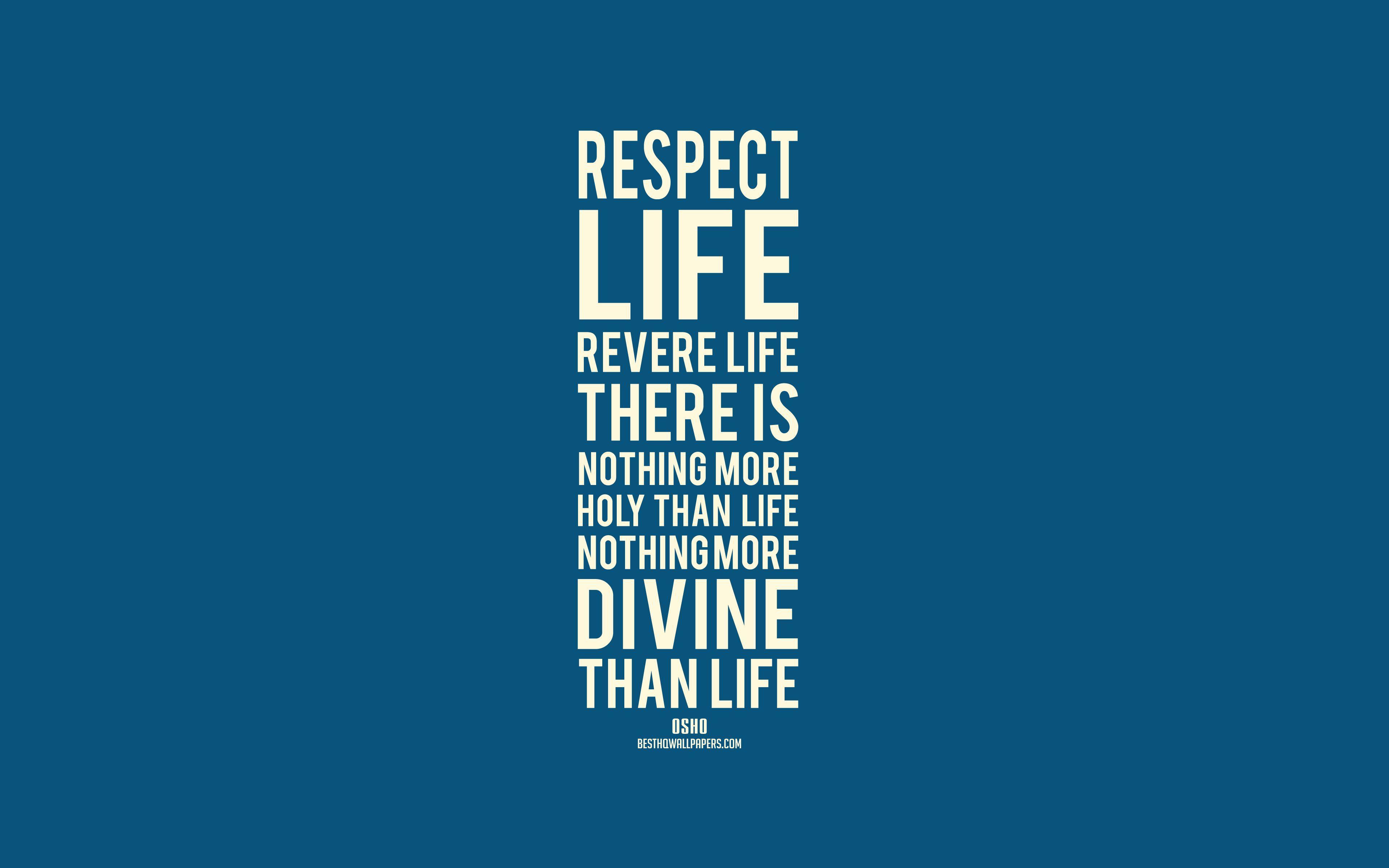 Respect Wallpapers - Top Free Respect Backgrounds - WallpaperAccess