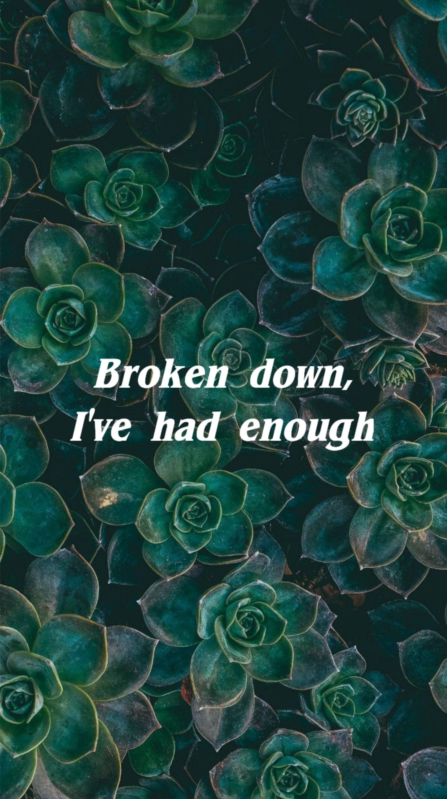 Lany Wallpapers - Top Free Lany Backgrounds - WallpaperAccess