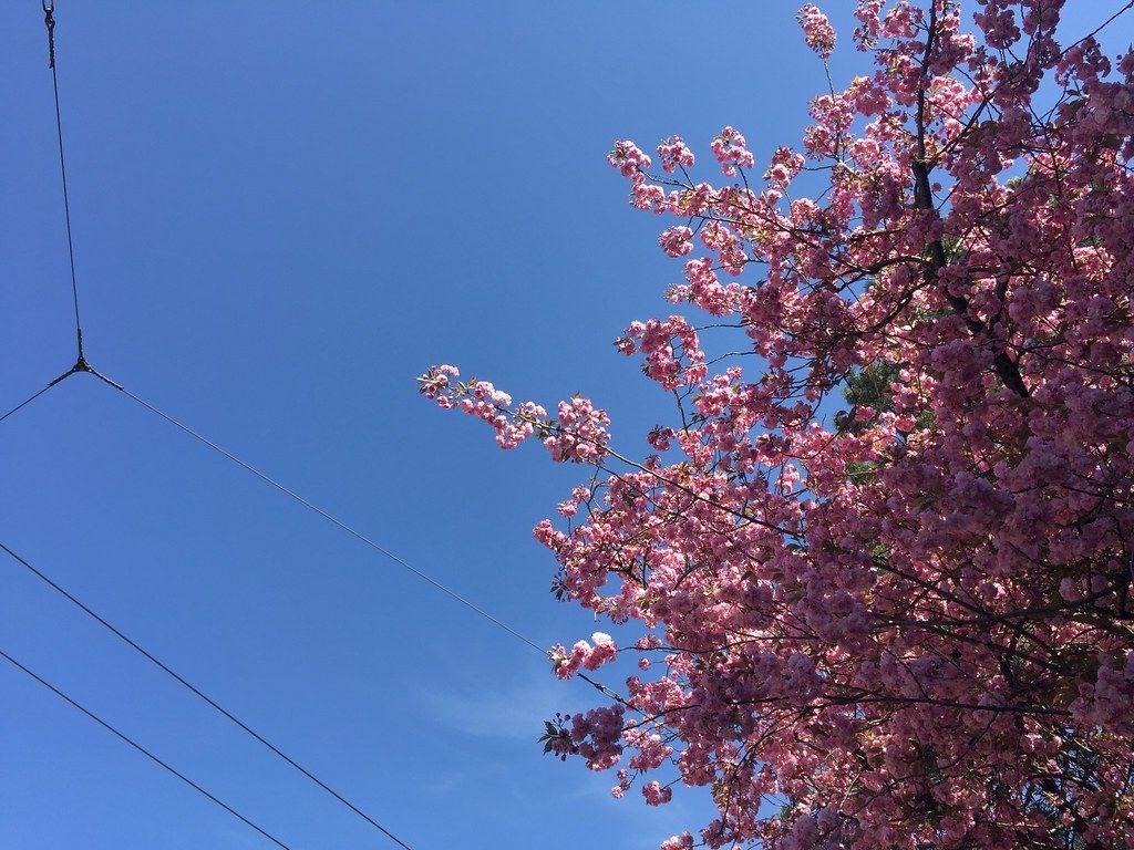 Lany Wallpapers - Top Free Lany Backgrounds - WallpaperAccess