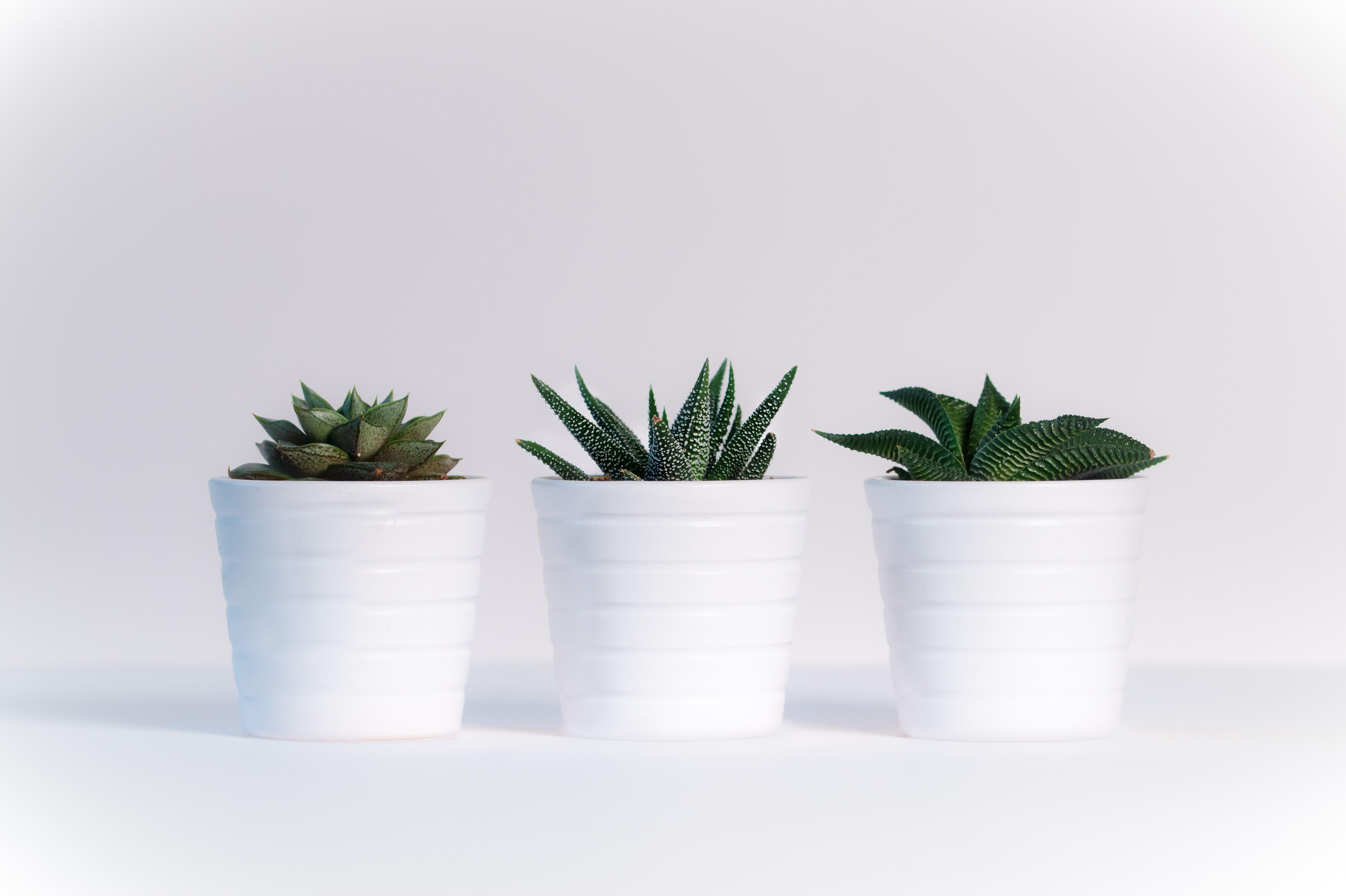 Ceramic Wallpapers - Top Free Ceramic Backgrounds - WallpaperAccess