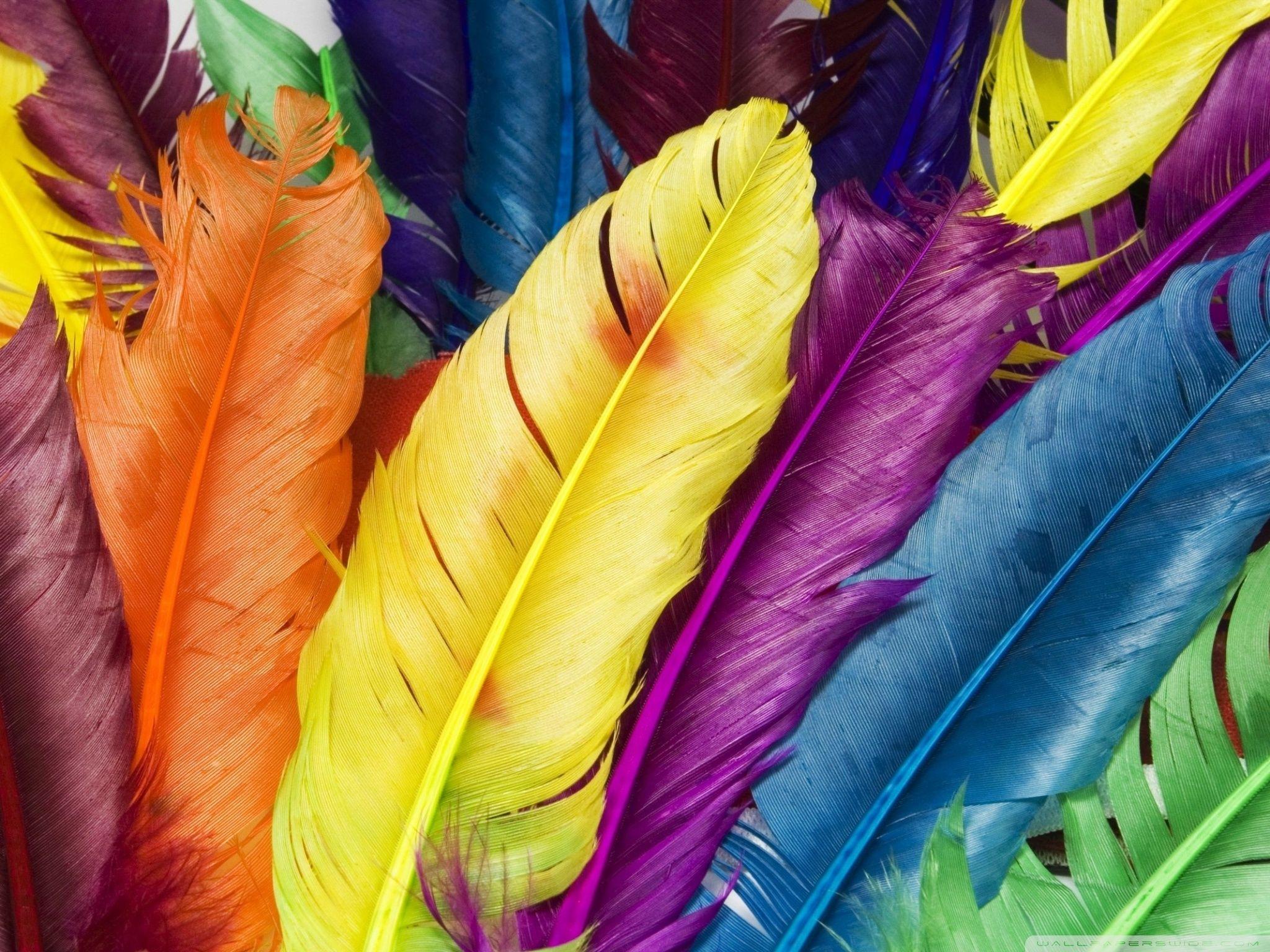 Feather Wallpapers - Top Free Feather Backgrounds - WallpaperAccess