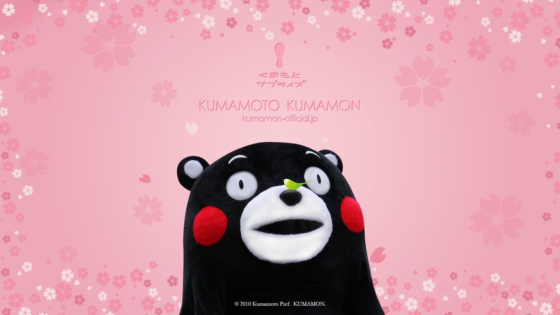 Kumamon Wallpapers - Top Free Kumamon Backgrounds - WallpaperAccess