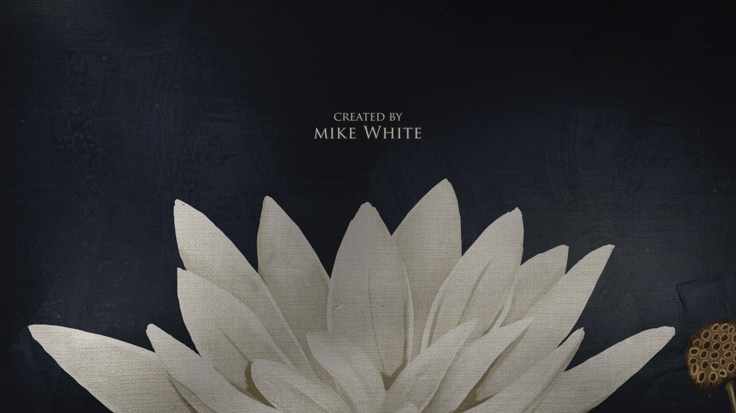 The White Lotus Wallpapers - Top Free The White Lotus Backgrounds ...
