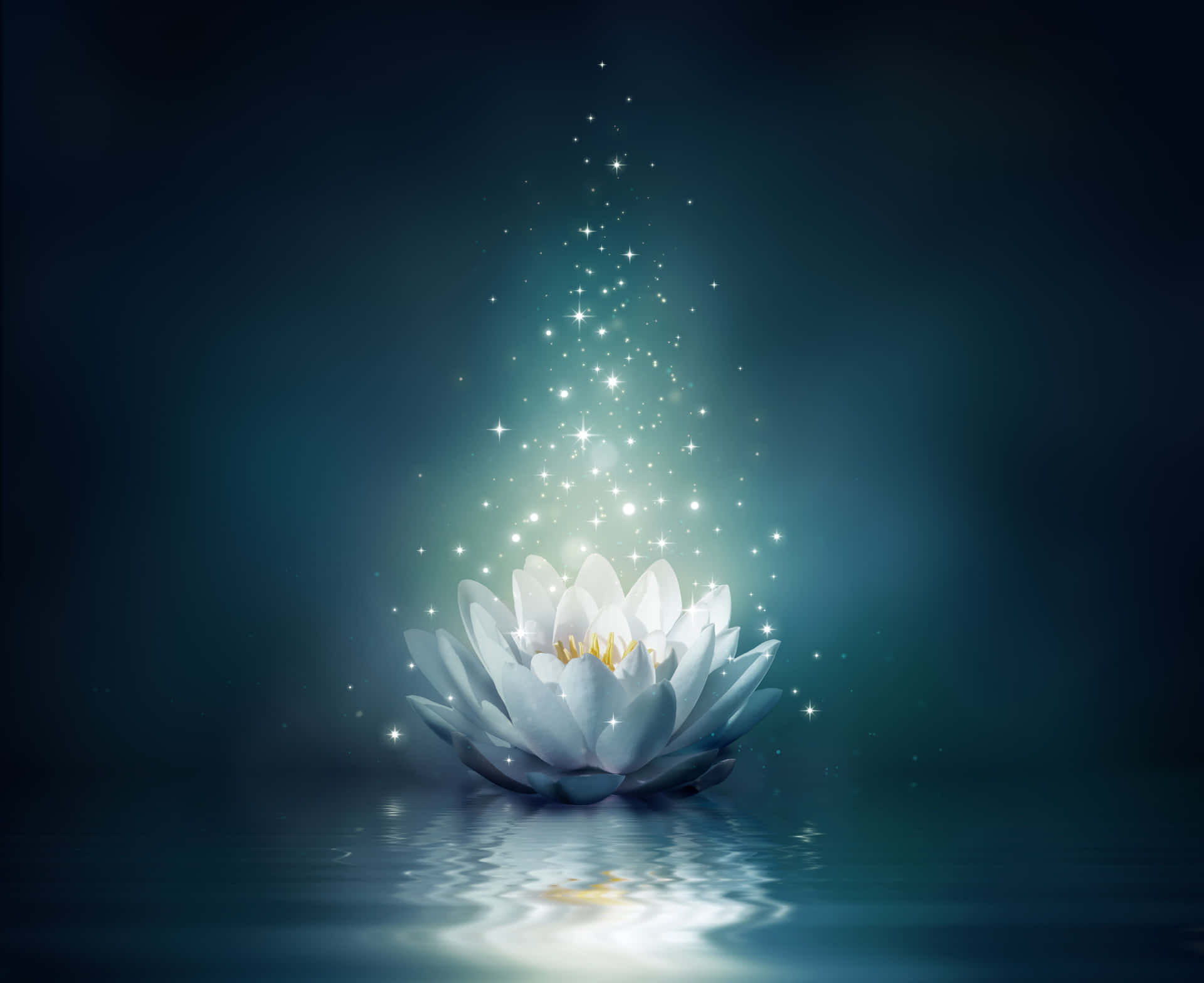 The White Lotus Wallpapers - Top Free The White Lotus Backgrounds ...