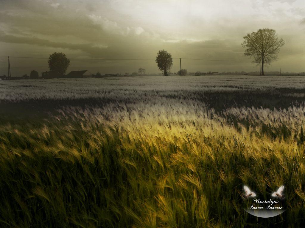 Nostalgia Wallpapers - Top Free Nostalgia Backgrounds - WallpaperAccess