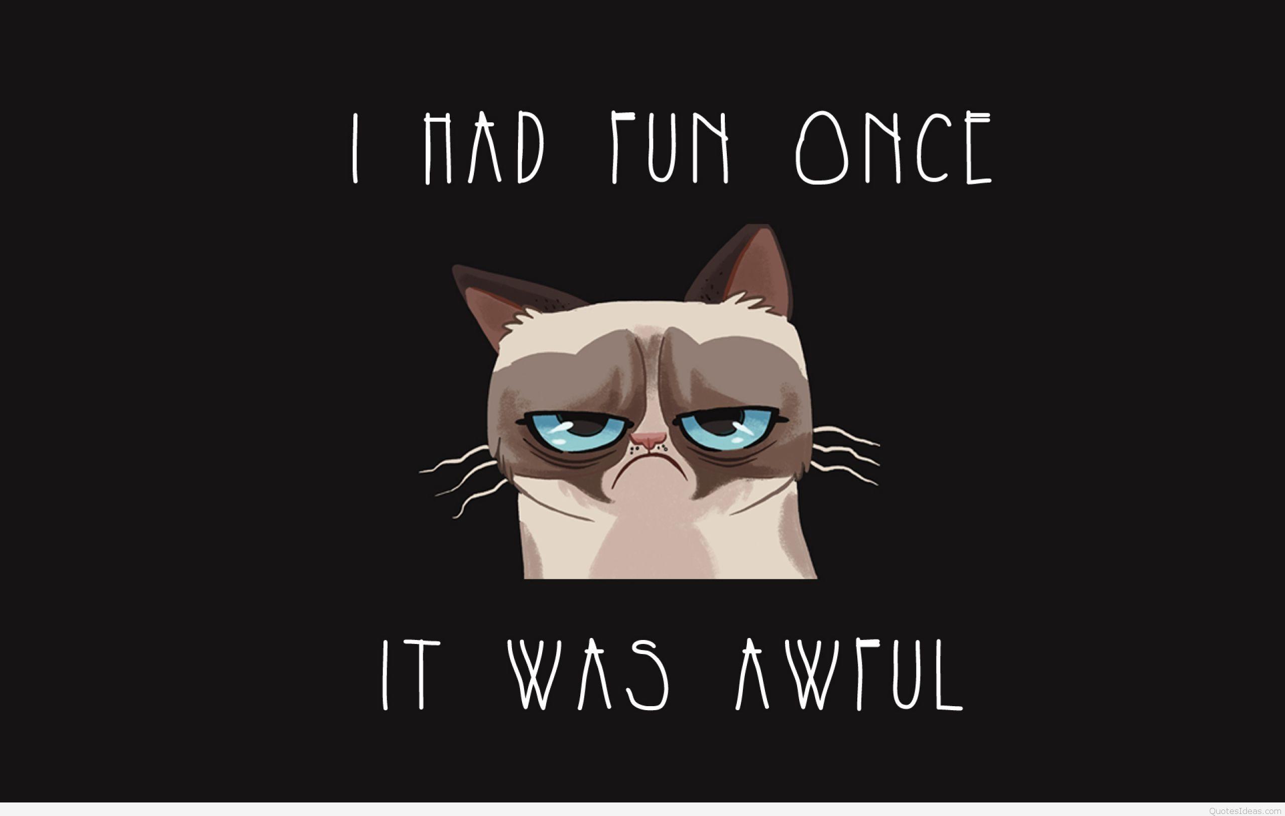 Funny Sarcastic Wallpapers Top Free Funny Sarcastic Backgrounds Funny Sarcastic Wallpapers Top Free Funny Sarcastic Backgrounds