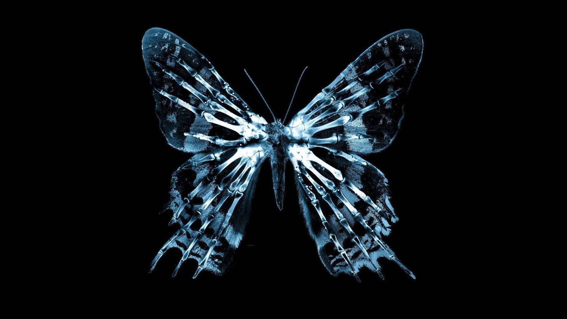 The Butterfly Effect Wallpapers - Top Free The Butterfly Effect ...