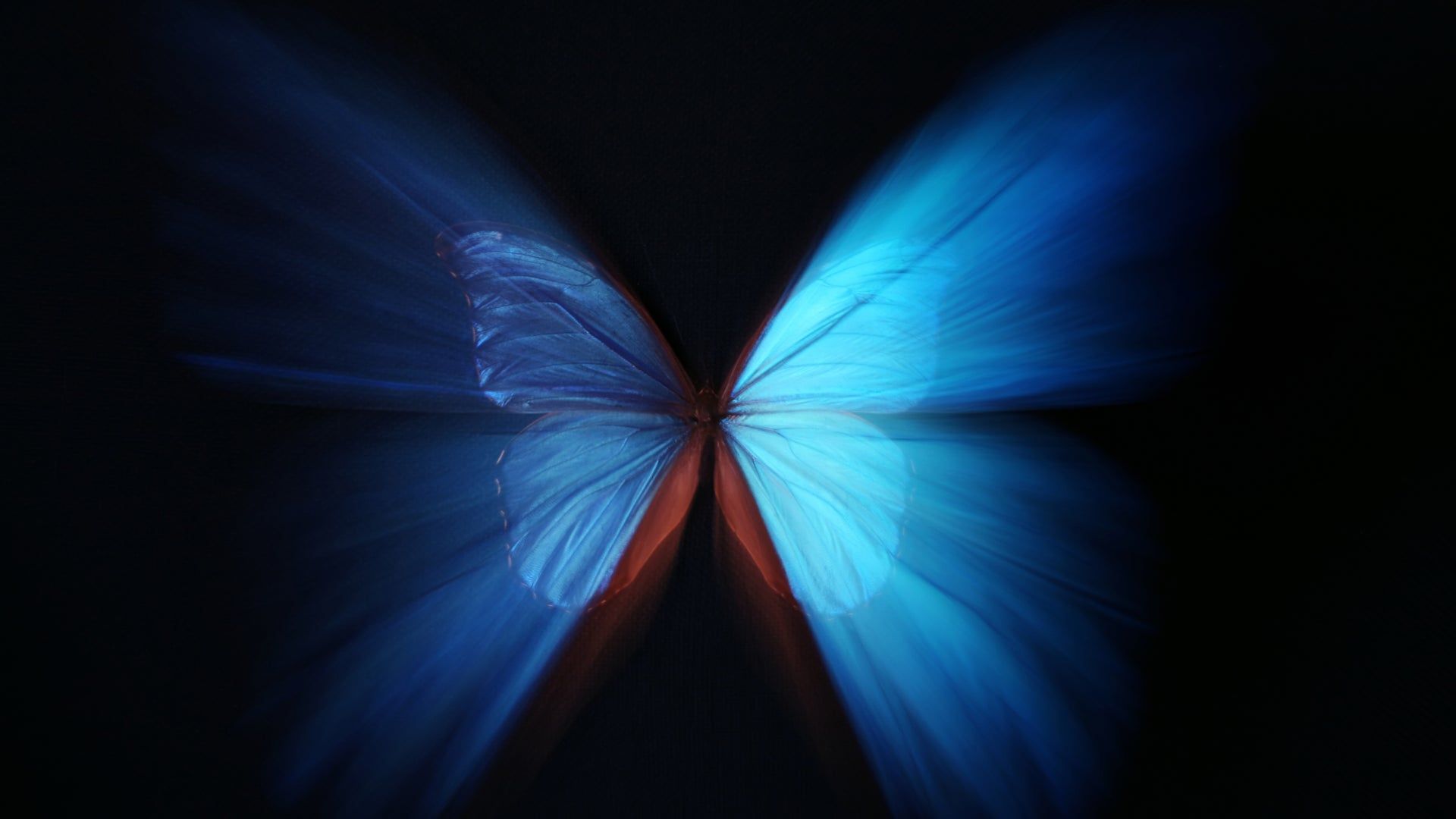 The Butterfly Effect Wallpapers - Top Free The Butterfly Effect ...