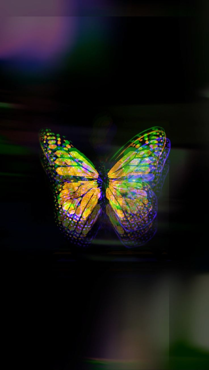 The Butterfly Effect Wallpapers - Top Free The Butterfly Effect ...