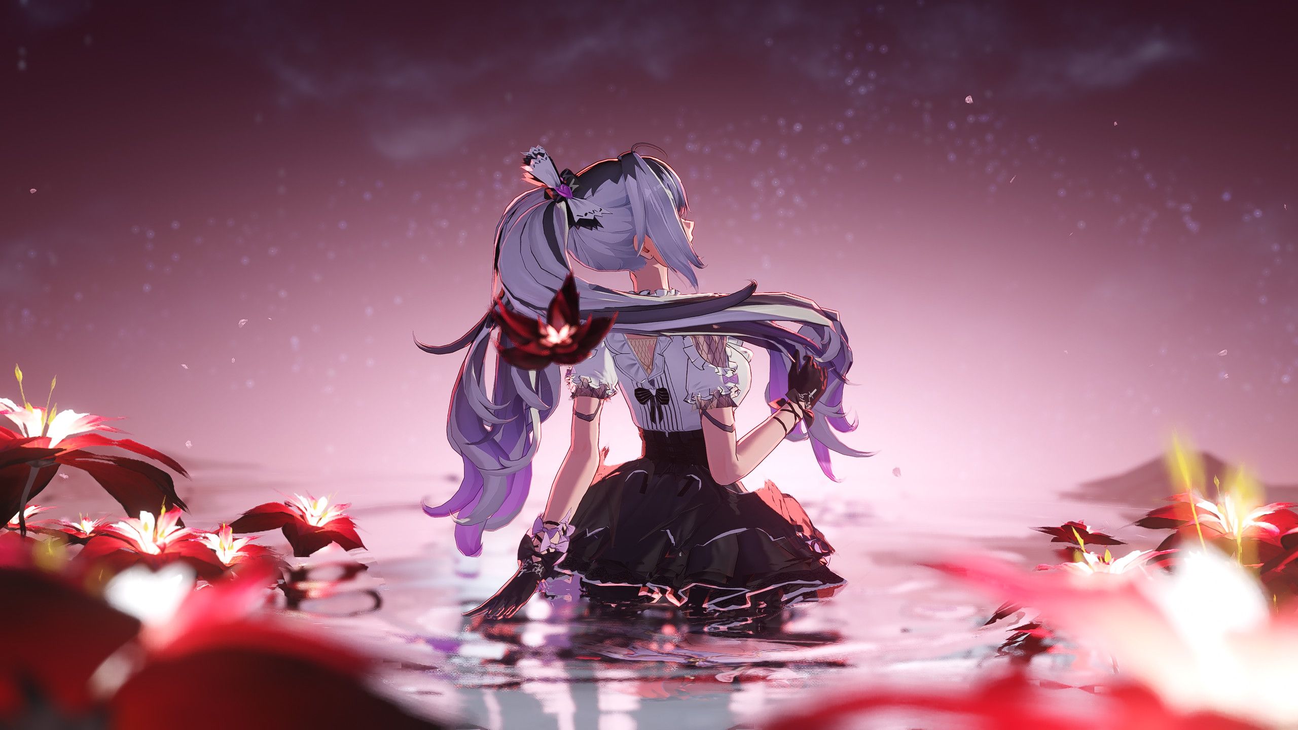 Camellya Wallpapers - Top Free Camellya Backgrounds - WallpaperAccess