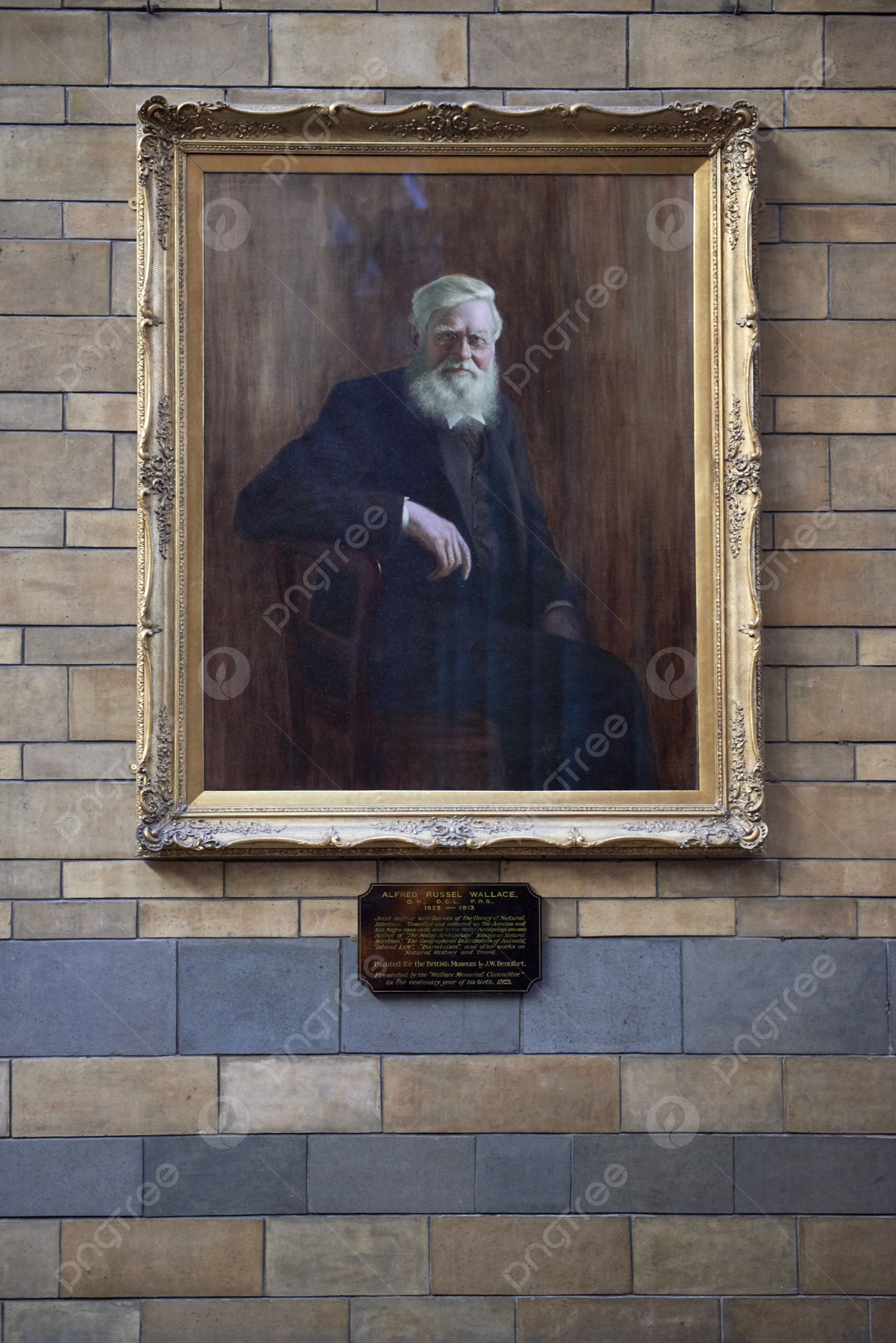 Alfred Russel Wallace Wallpapers - Top Free Alfred Russel Wallace ...