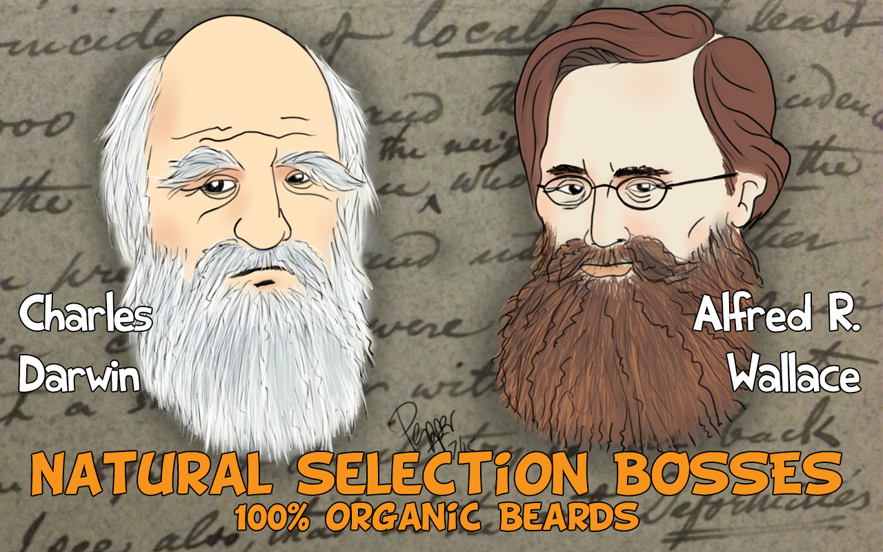 Alfred Russel Wallace Wallpapers - Top Free Alfred Russel Wallace Backgrounds - WallpaperAccess