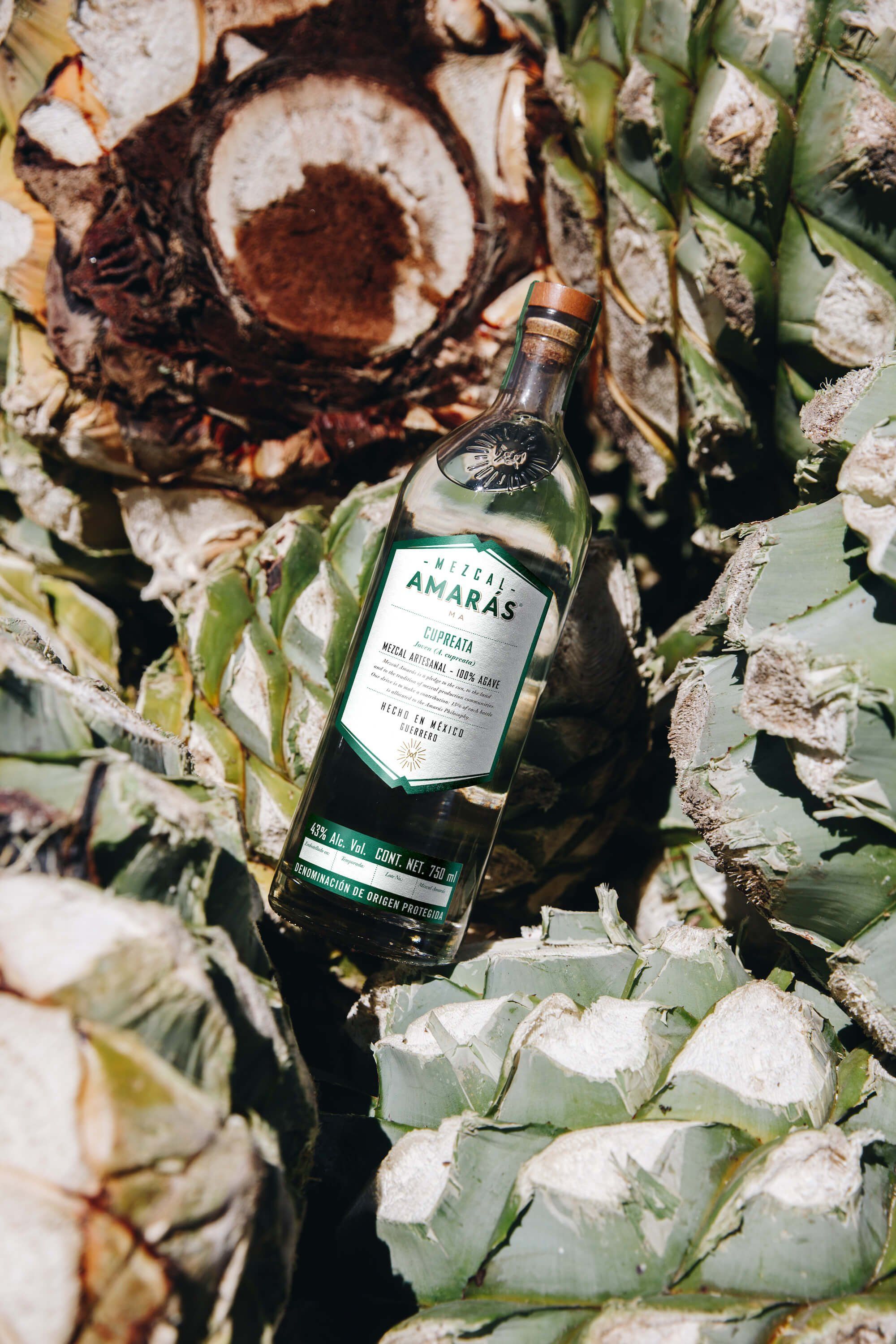 Mezcal Wallpapers - Top Free Mezcal Backgrounds - WallpaperAccess