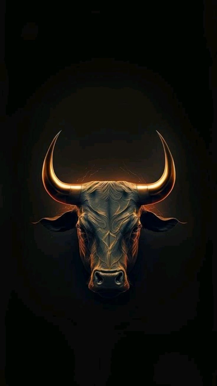 Stier Wallpapers - Top Free Stier Backgrounds - WallpaperAccess