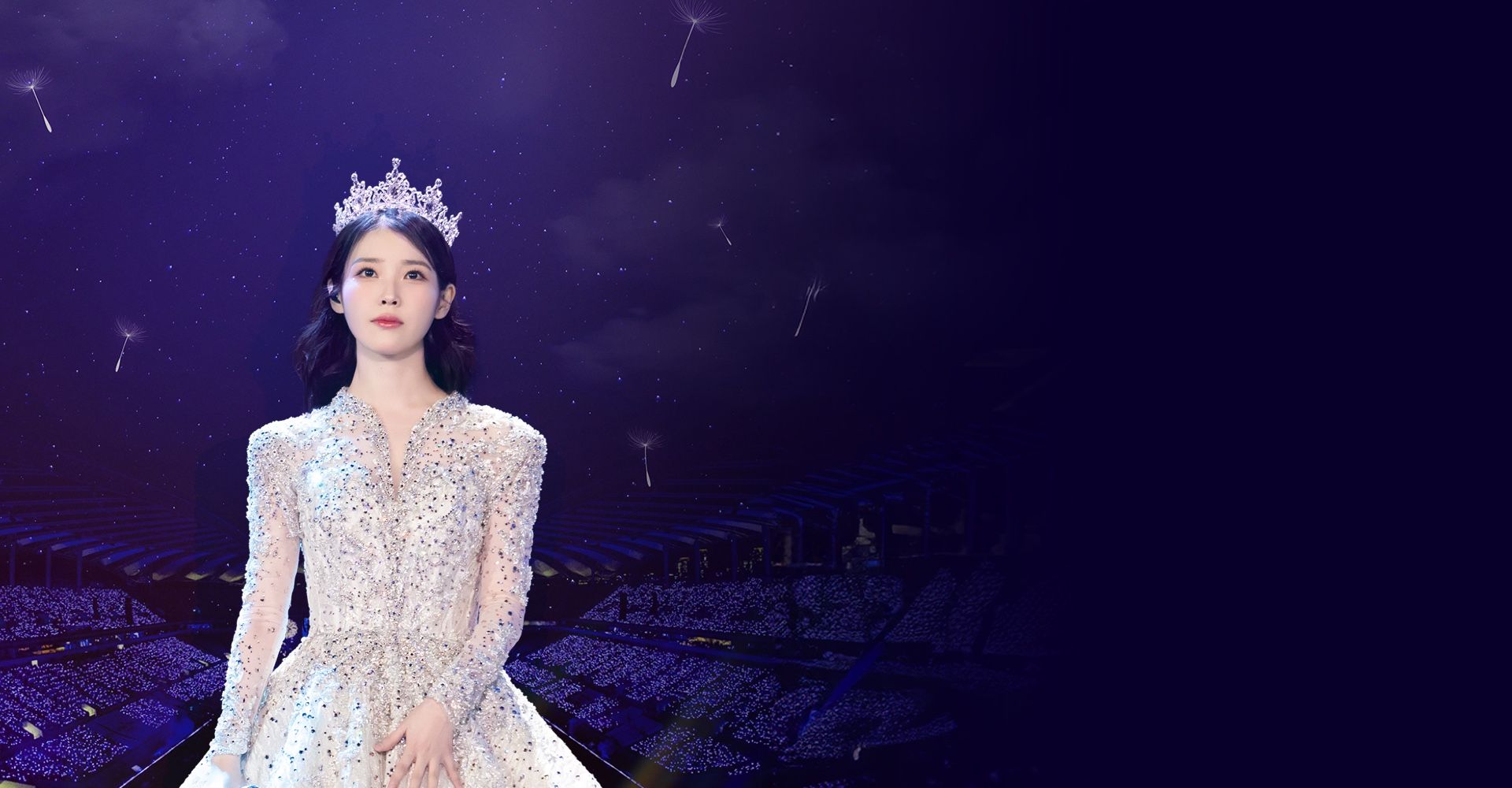 Iu Concert Wallpapers - Top Free Iu Concert Backgrounds - WallpaperAccess