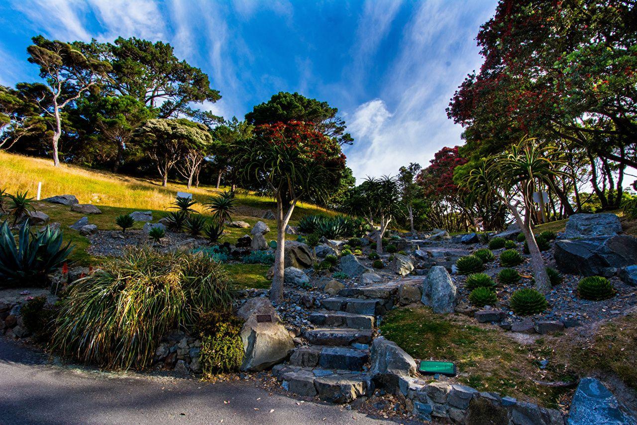 Wellington Wallpapers - Top Free Wellington Backgrounds - WallpaperAccess