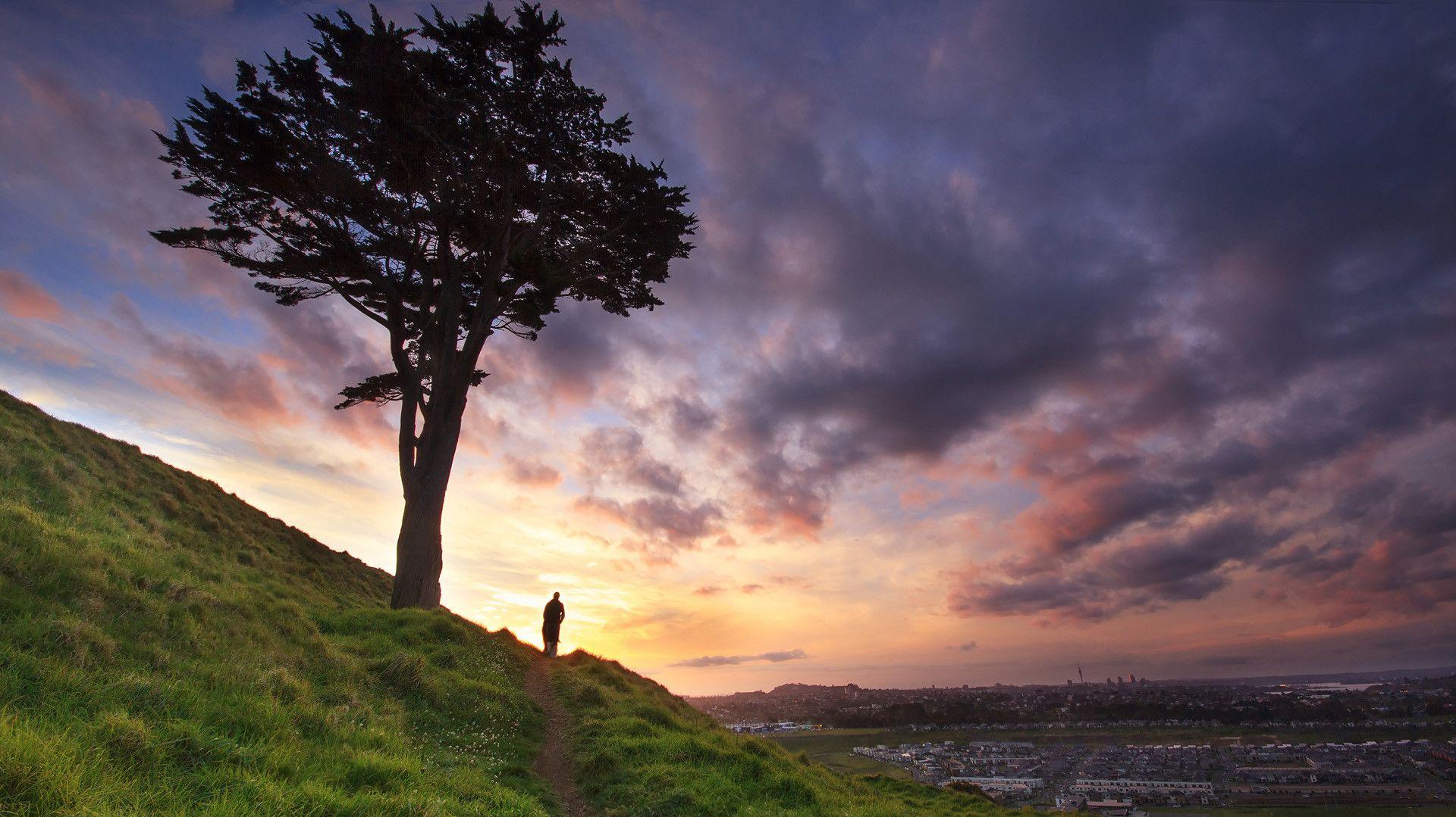Wellington Wallpapers - Top Free Wellington Backgrounds - WallpaperAccess