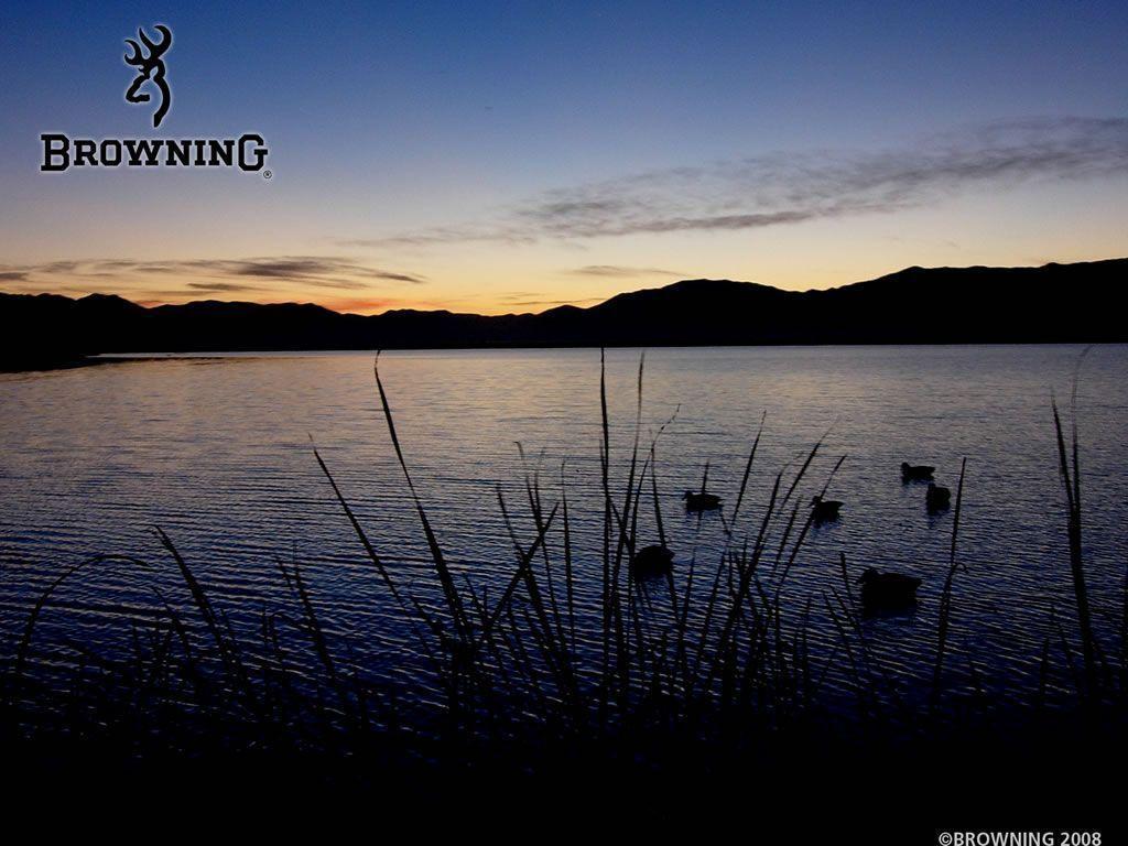 Drake Waterfowl Desktop Wallpapers - Top Free Drake Waterfowl Desktop ...