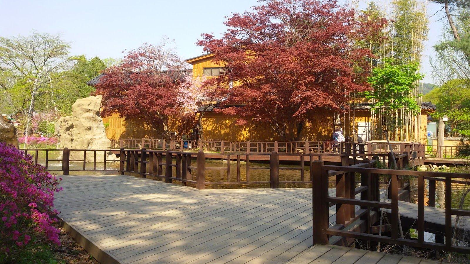 Nami Island Wallpapers - Top Free Nami Island Backgrounds - WallpaperAccess