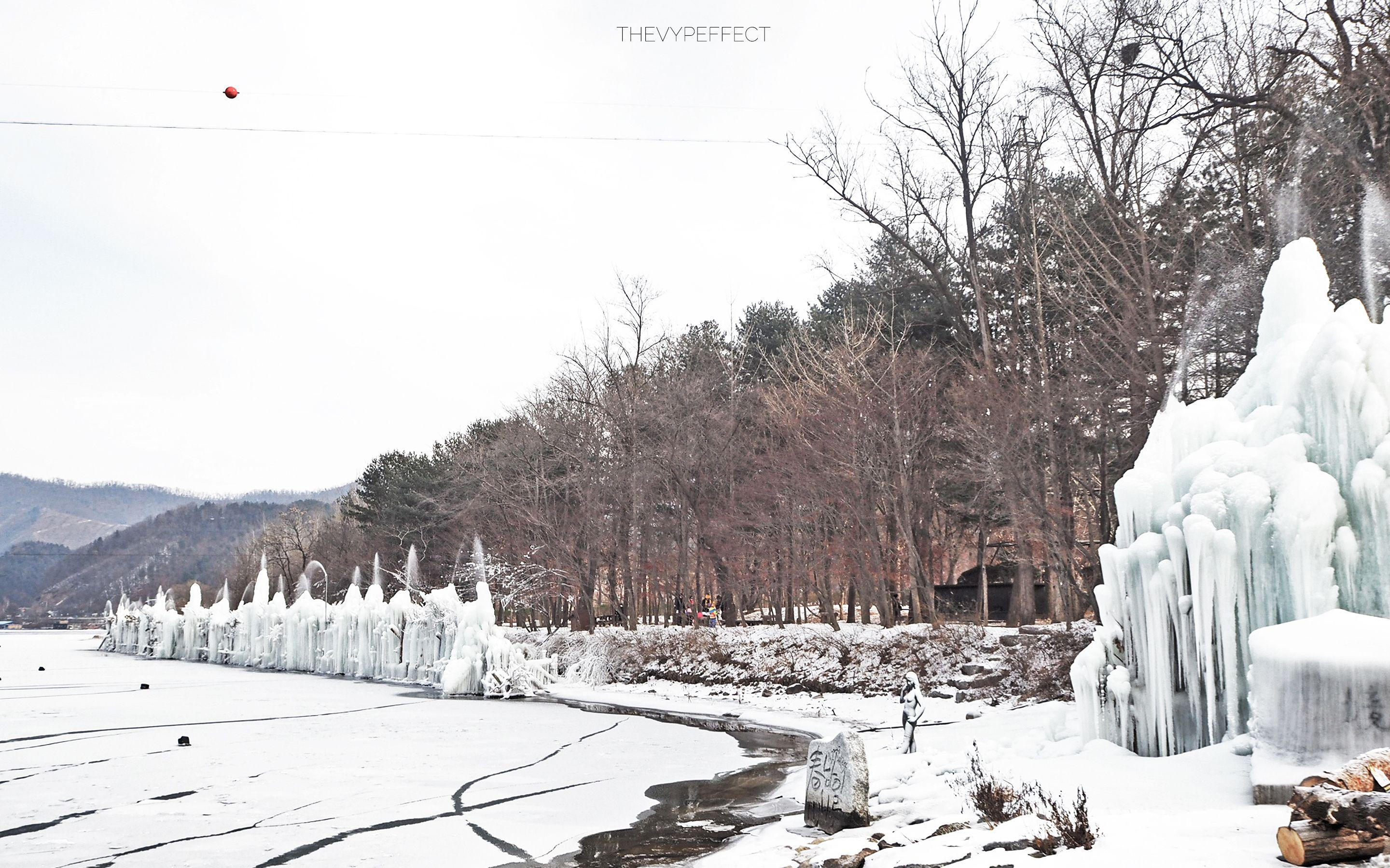 Nami Island Wallpapers - Top Free Nami Island Backgrounds - WallpaperAccess