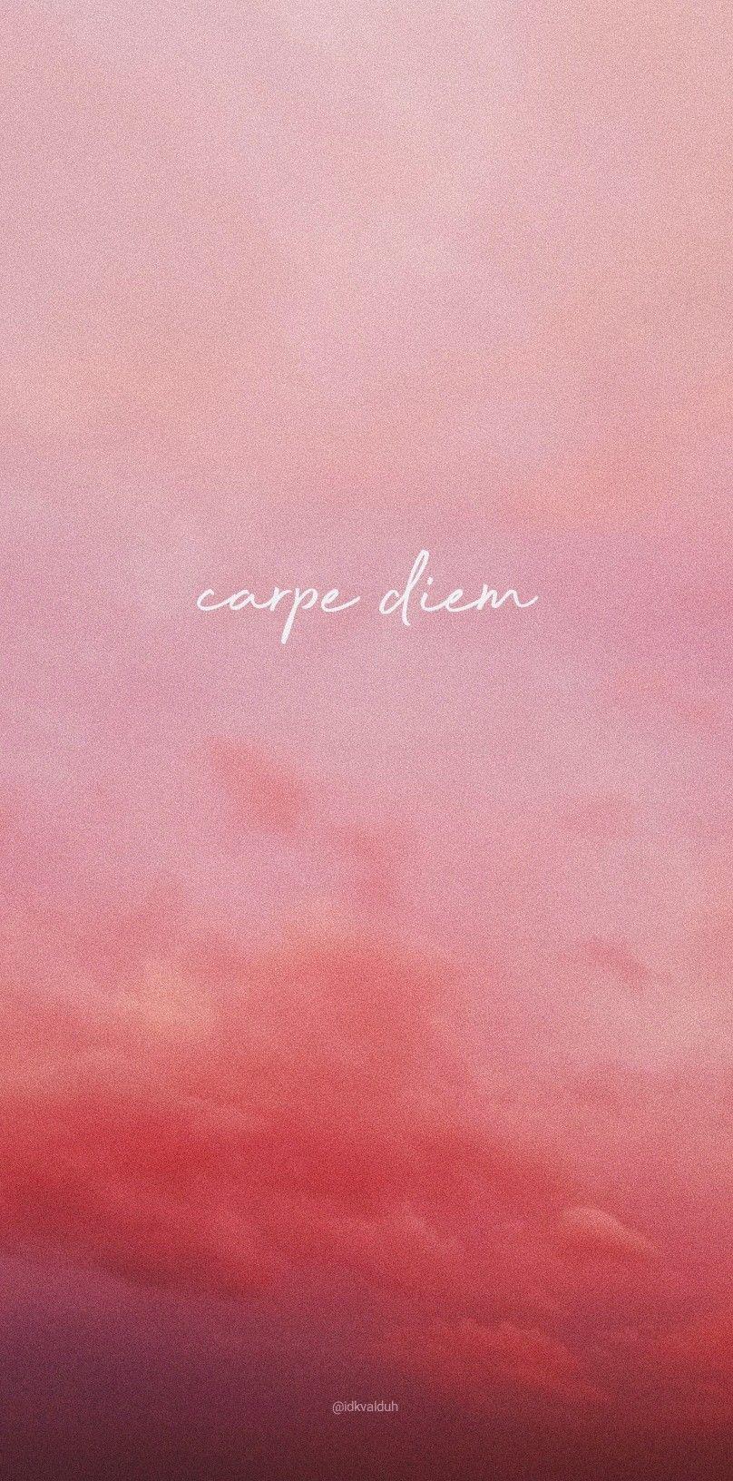 Carpe Diem Wallpapers - Top Free Carpe Diem Backgrounds - WallpaperAccess