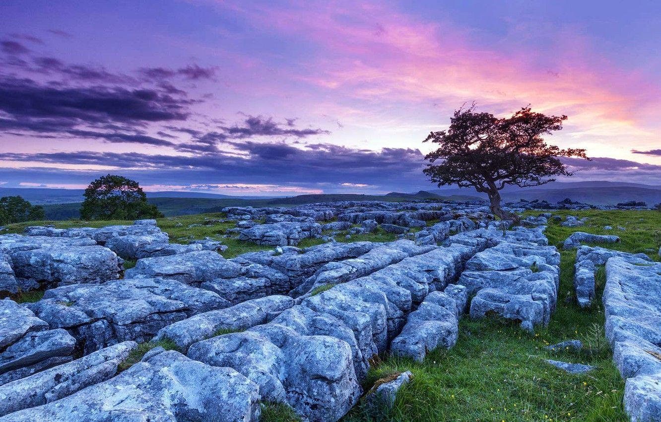 Yorkshire Wallpapers - Top Free Yorkshire Backgrounds - WallpaperAccess