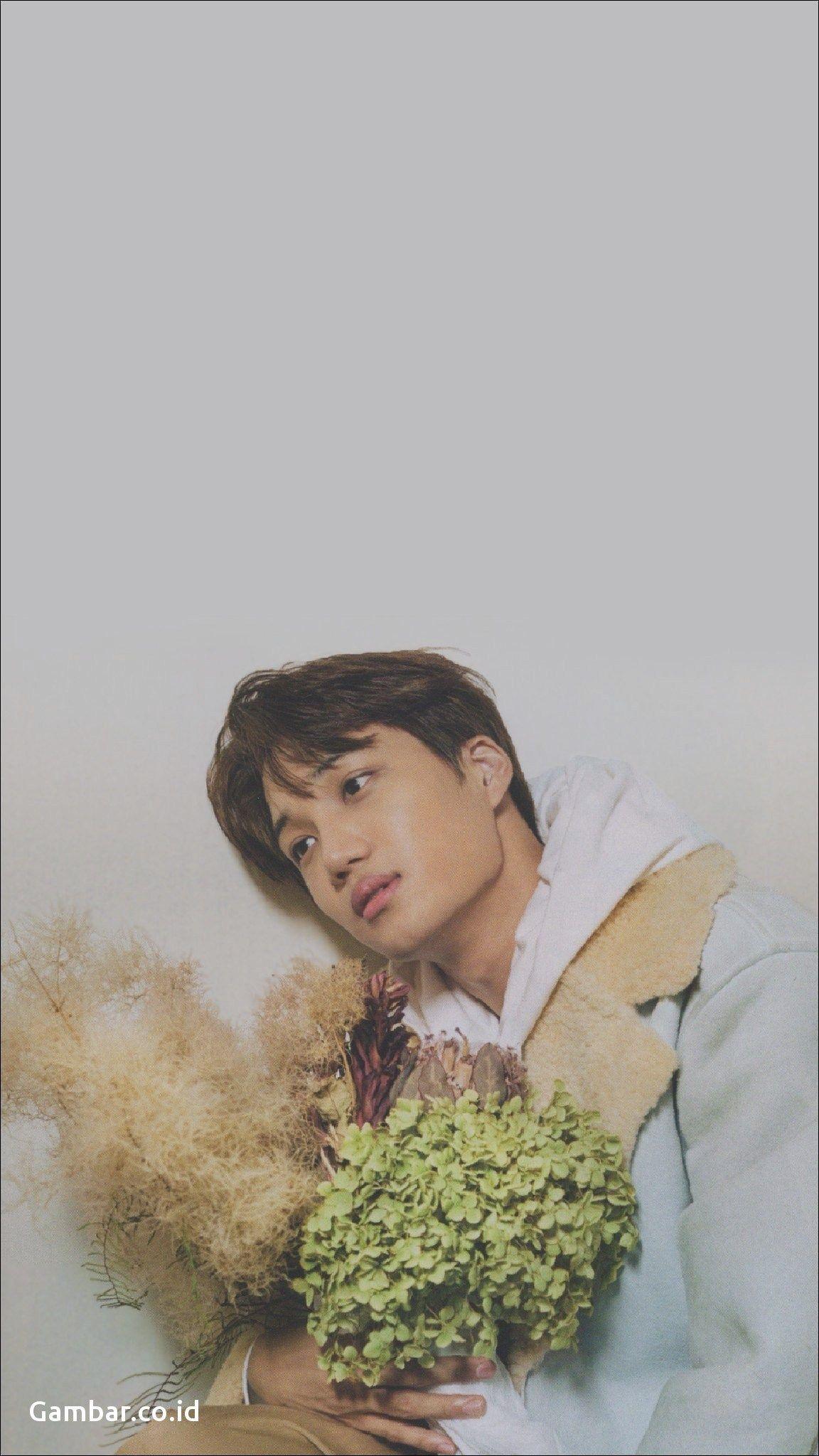 Kai Wallpapers - Top Free Kai Backgrounds - WallpaperAccess