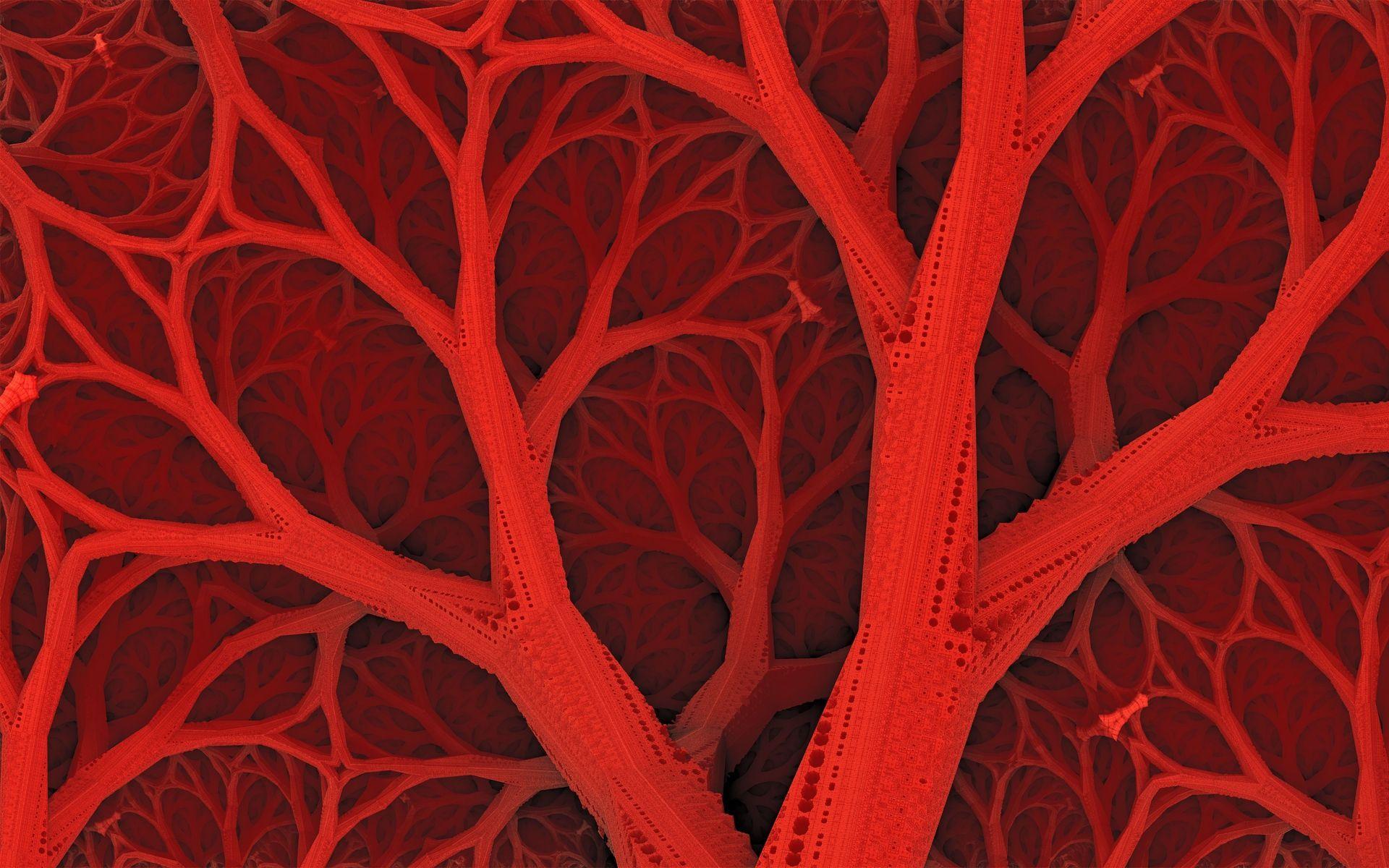 Structure Wallpapers - Top Free Structure Backgrounds - WallpaperAccess